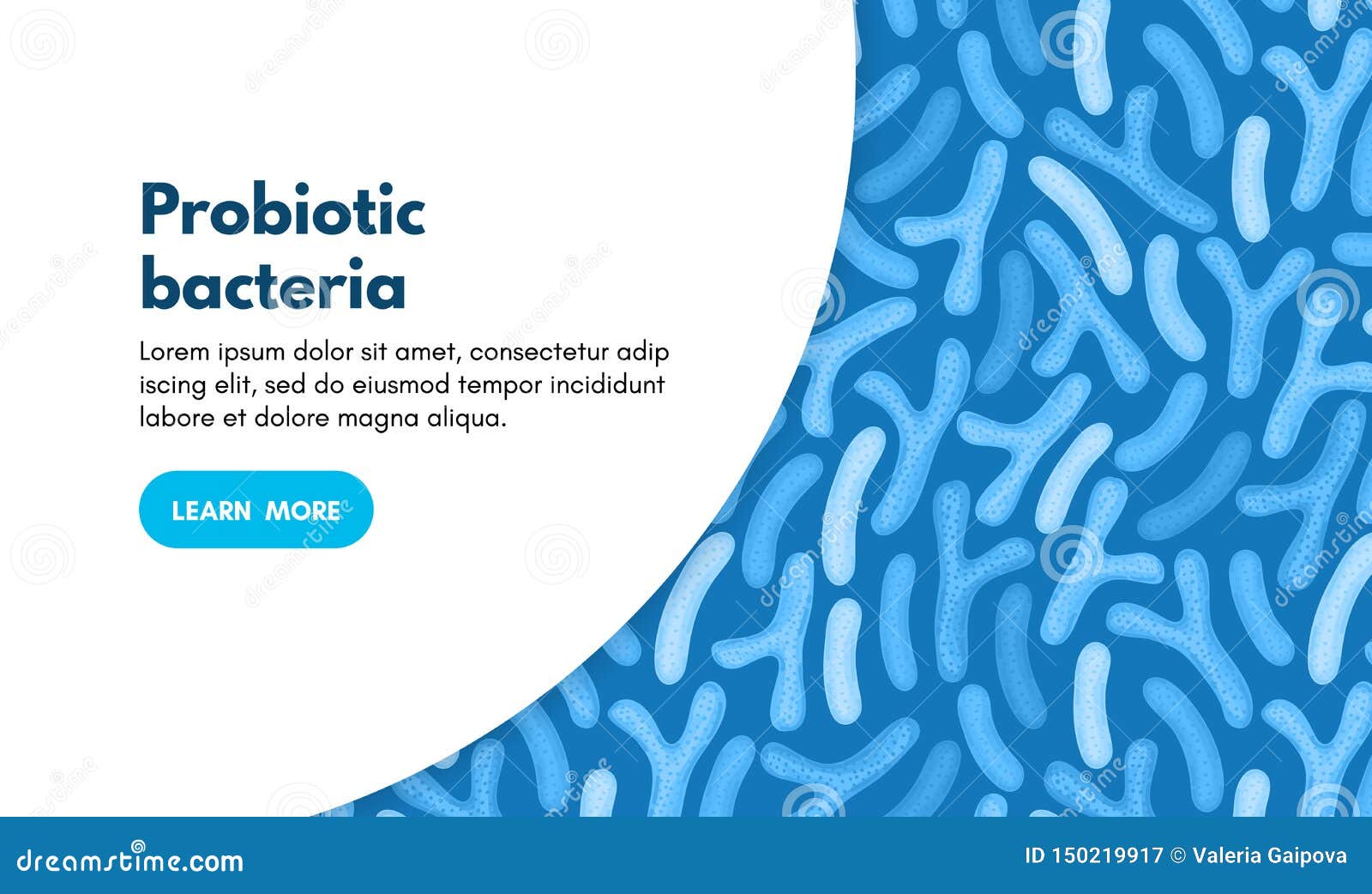 Vector Background With Probiotics. Bifidobacterium, Lactobacillus ...