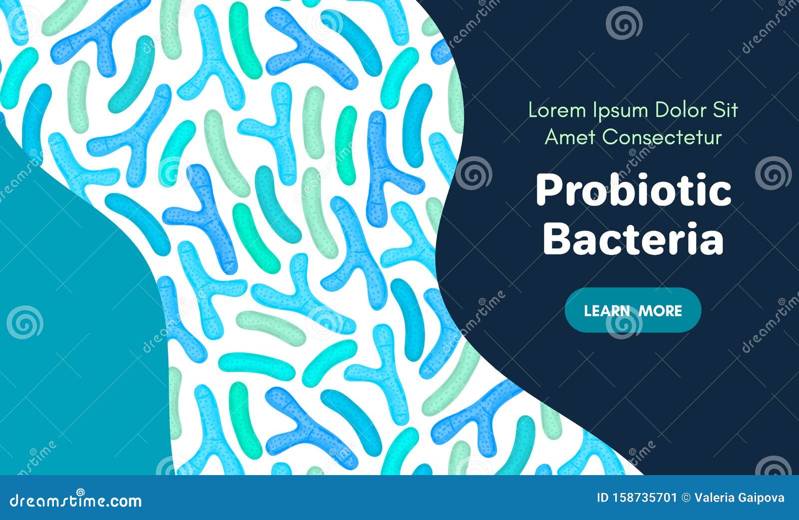 Vector Background with Probiotics. Bifidobacterium, Lactobacillus ...