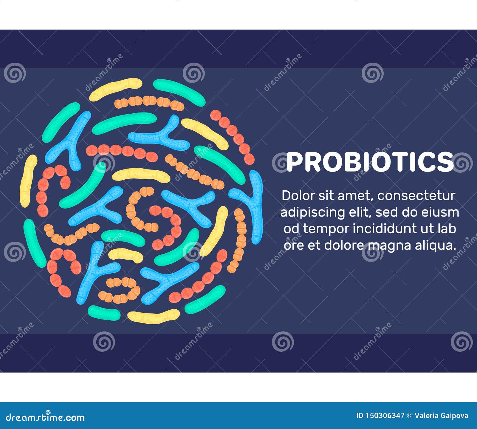 Vector Background With Probiotics In Circular Shape. Bifidobacterium ...