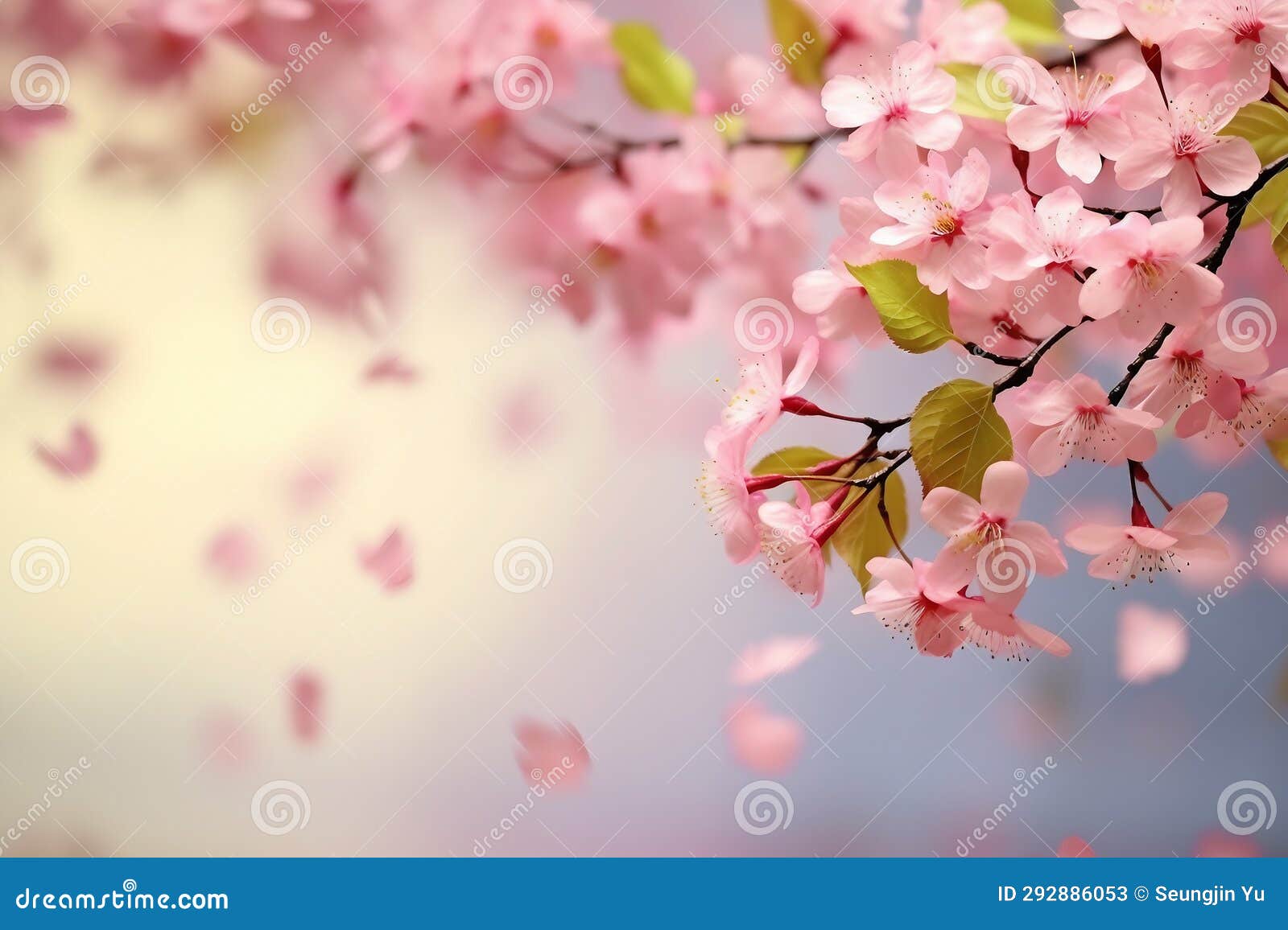 Vector Background with Spring Apple Blossom. Blossoming Branch in ...