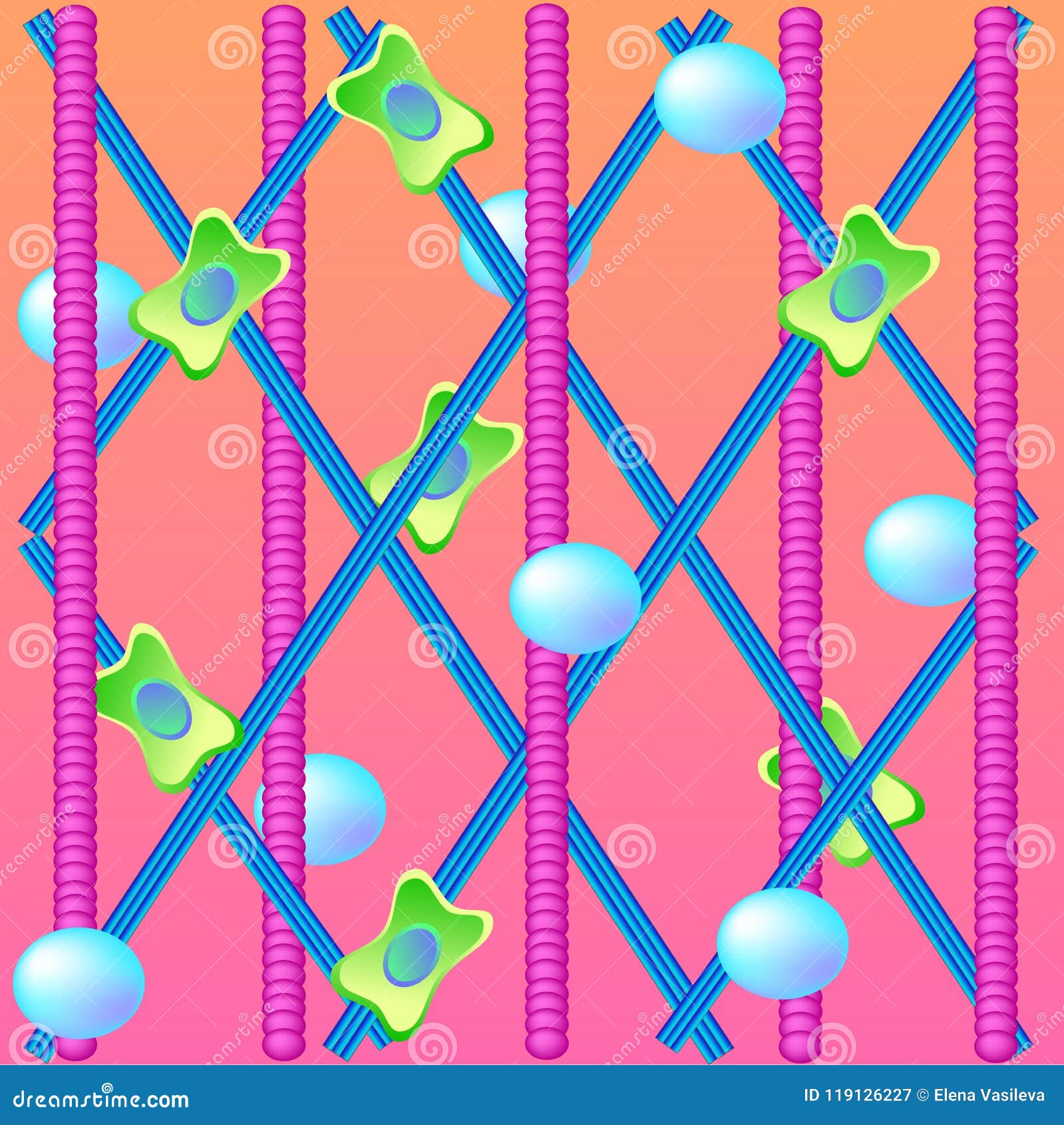 Structure Cells Of Dermis Illustration Isolated On White Background ...