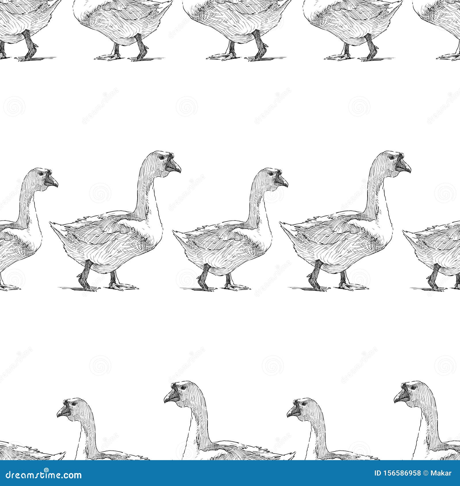 Walking White Hen And Chicks Animation Sprite Sheet Isolated On White ...