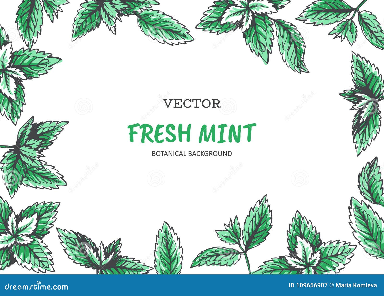 Vector Background Wit Peppermint Leaves Border. Botanical Texture with ...