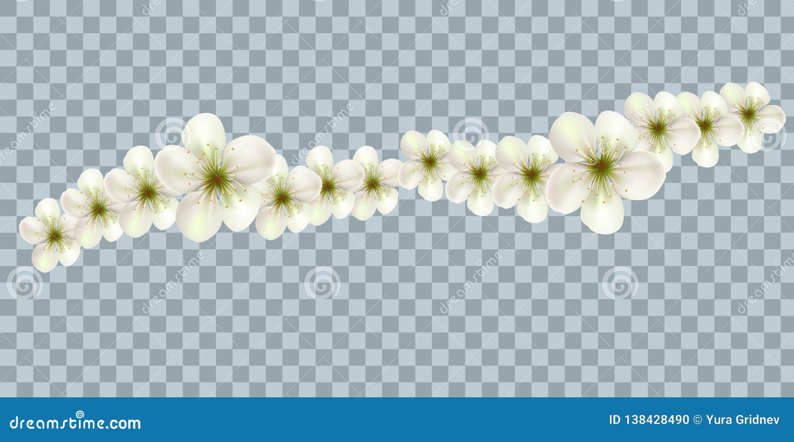 Vector Bali Flowers Border Isolated on Transparency Grid Background ...
