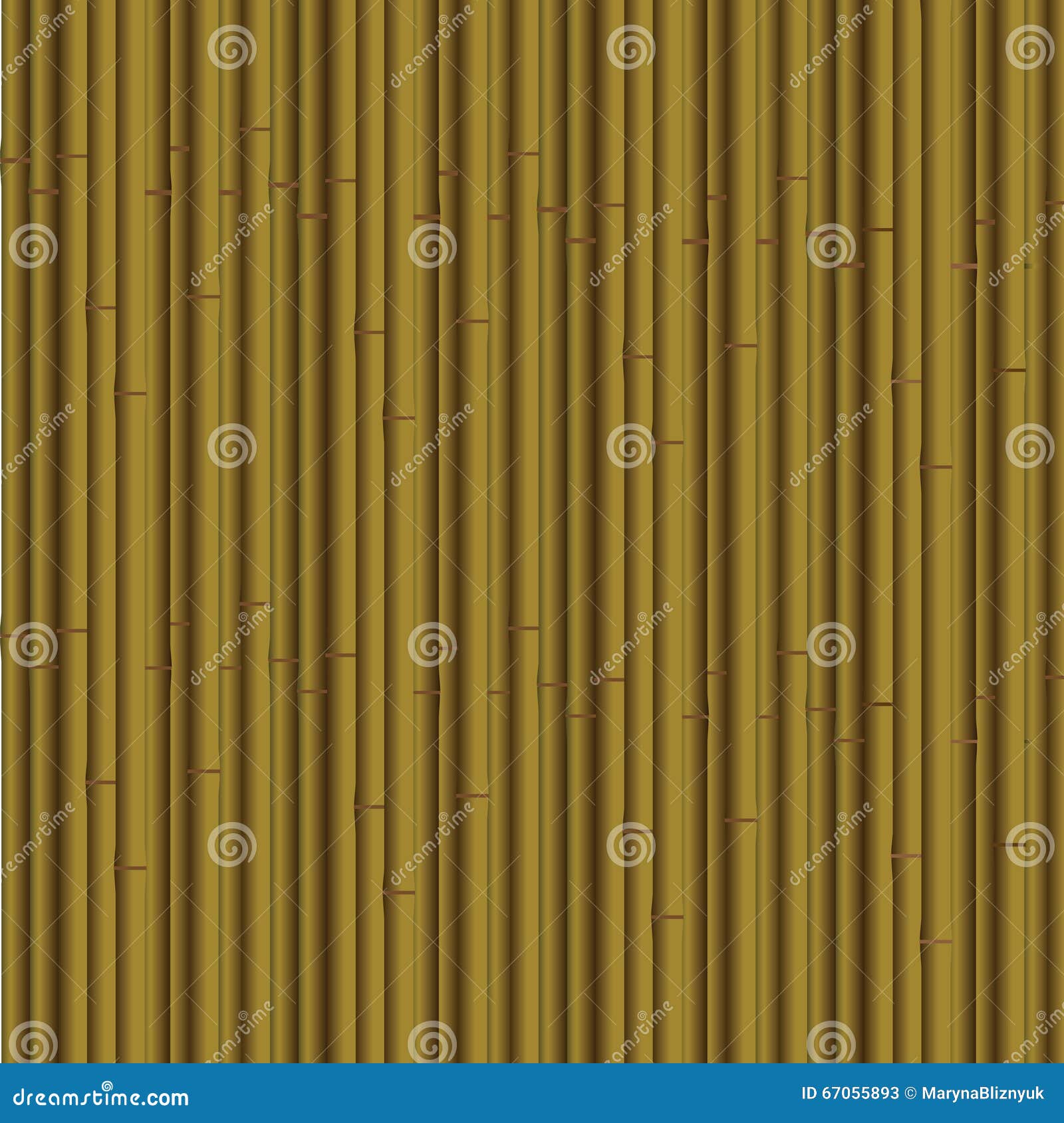Vector bamboo texture stock vector. Illustration of japan - 67055893