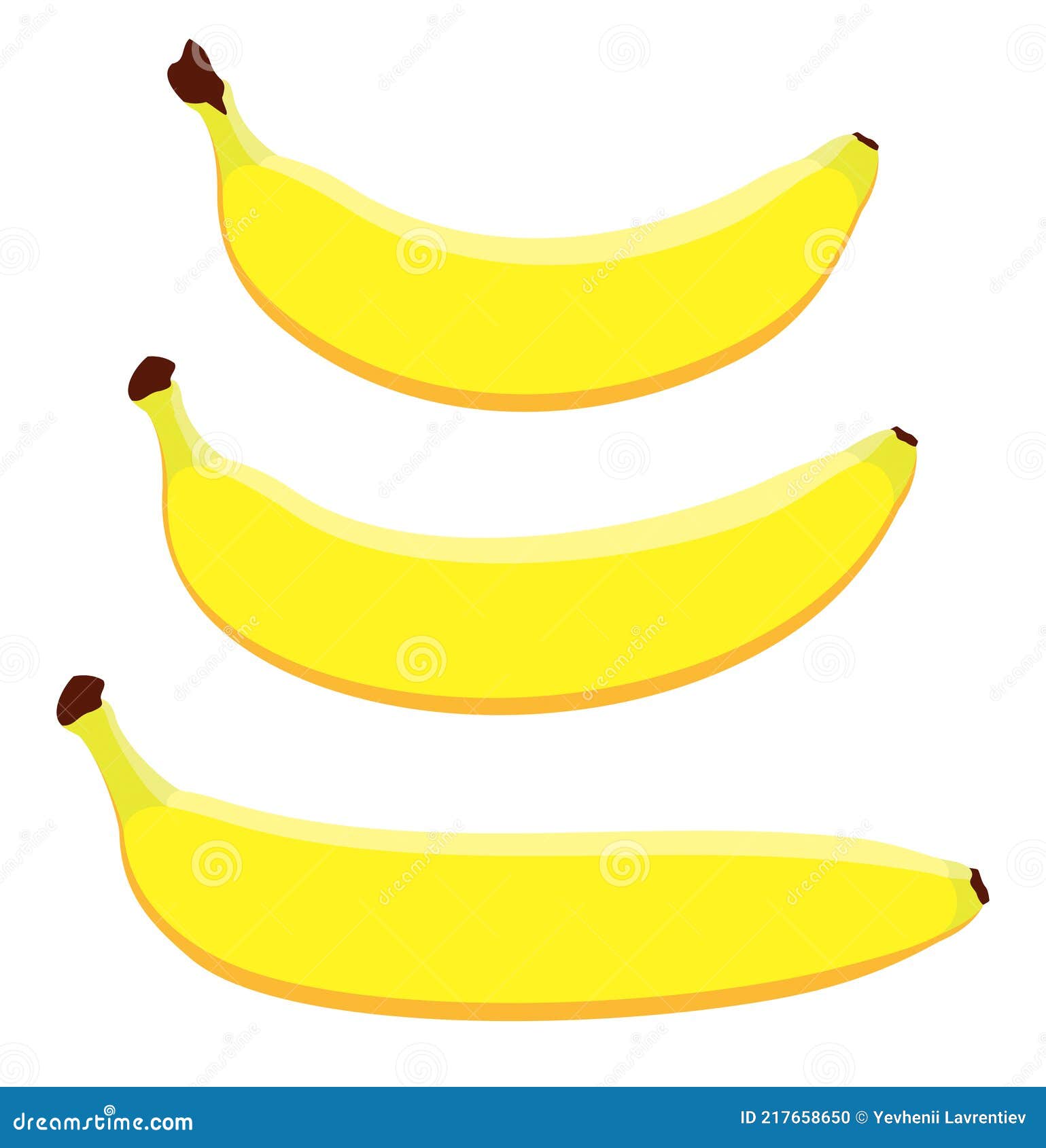 Vector Bananas of Different Shapes. Three Ripe Yellow Bananas Drawn in ...