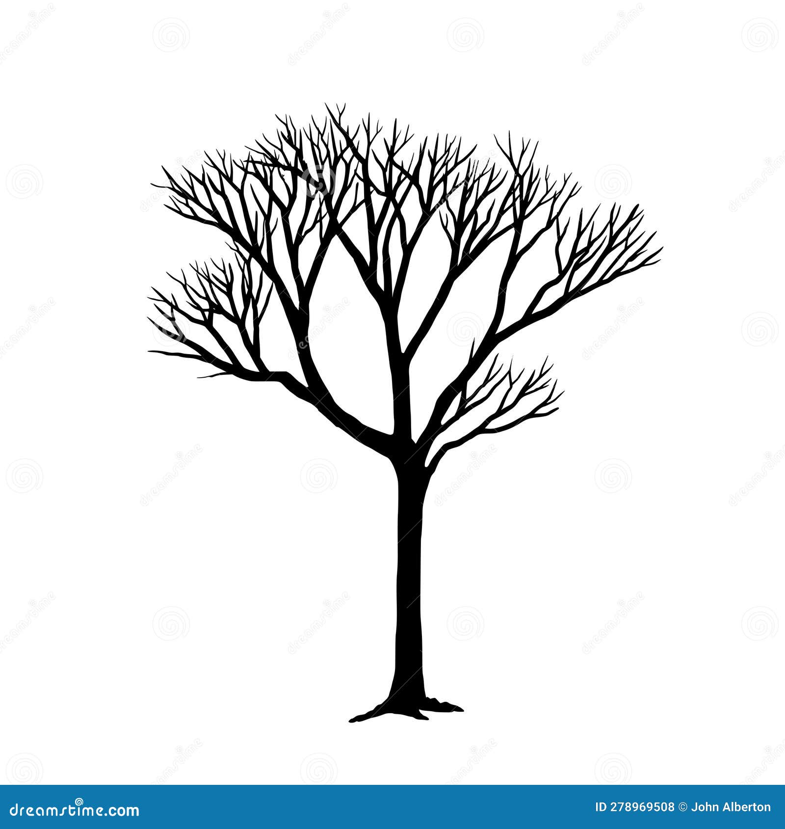 Vector Bare Tree Illustration | CartoonDealer.com #278969508