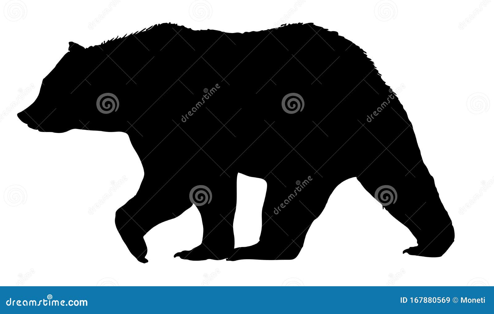 Vector Bear Silhouette Isolated on White Background Stock Vector ...
