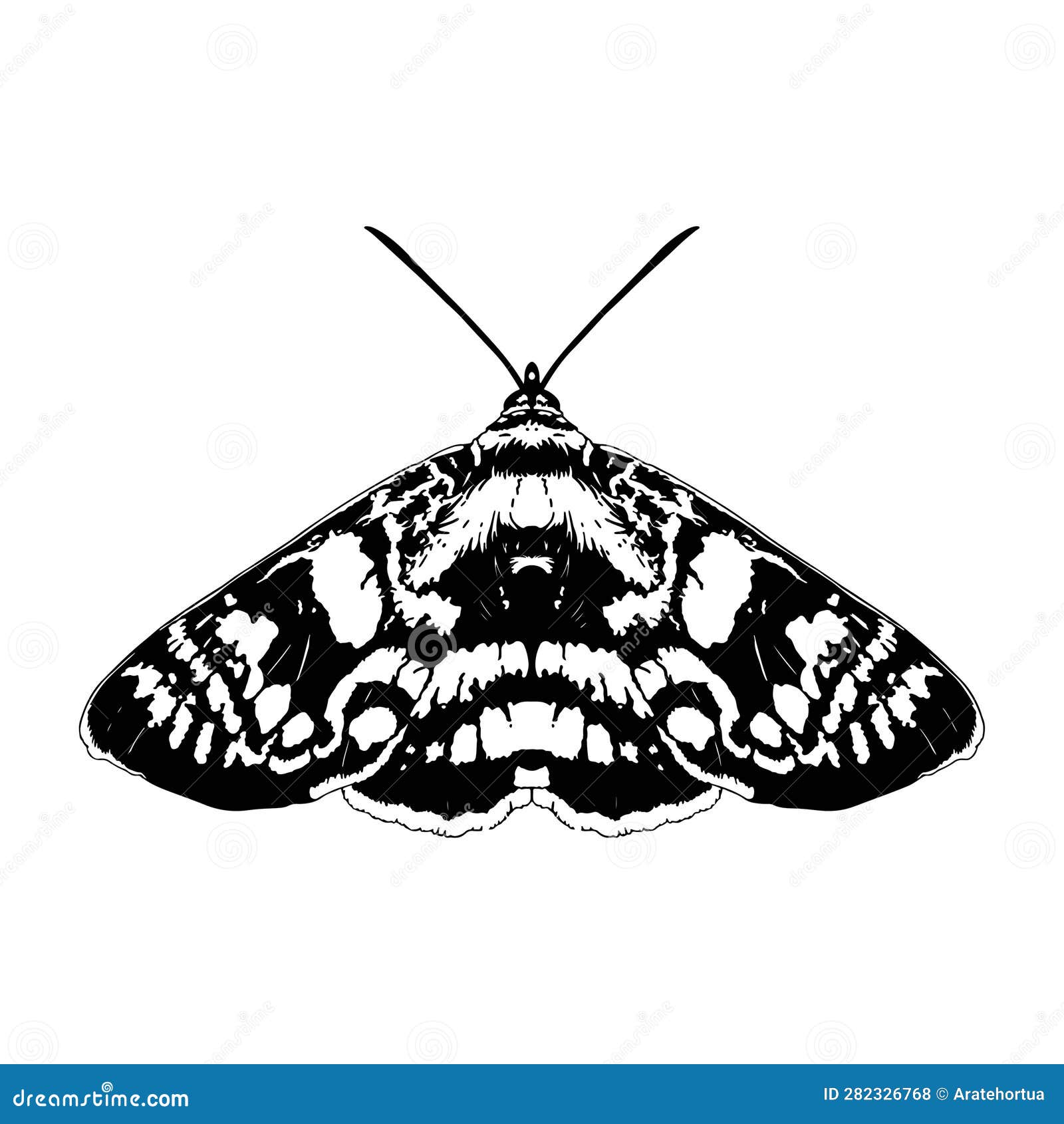 Moth Cartoon Clipart. Cute Polyphemus Moth (Antheraea Polyphemus ...