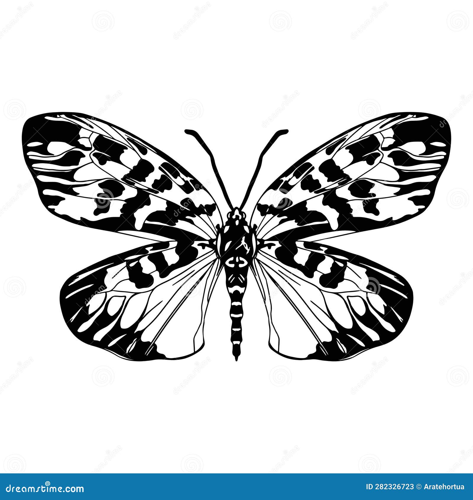 Vector Beautiful Butterfly Cartoon Illustration Isolated Stock ...