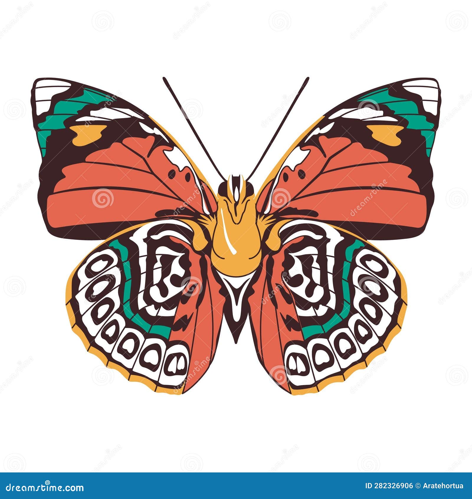 Vector Beautiful Butterfly Cartoon Illustration Isolated Stock ...