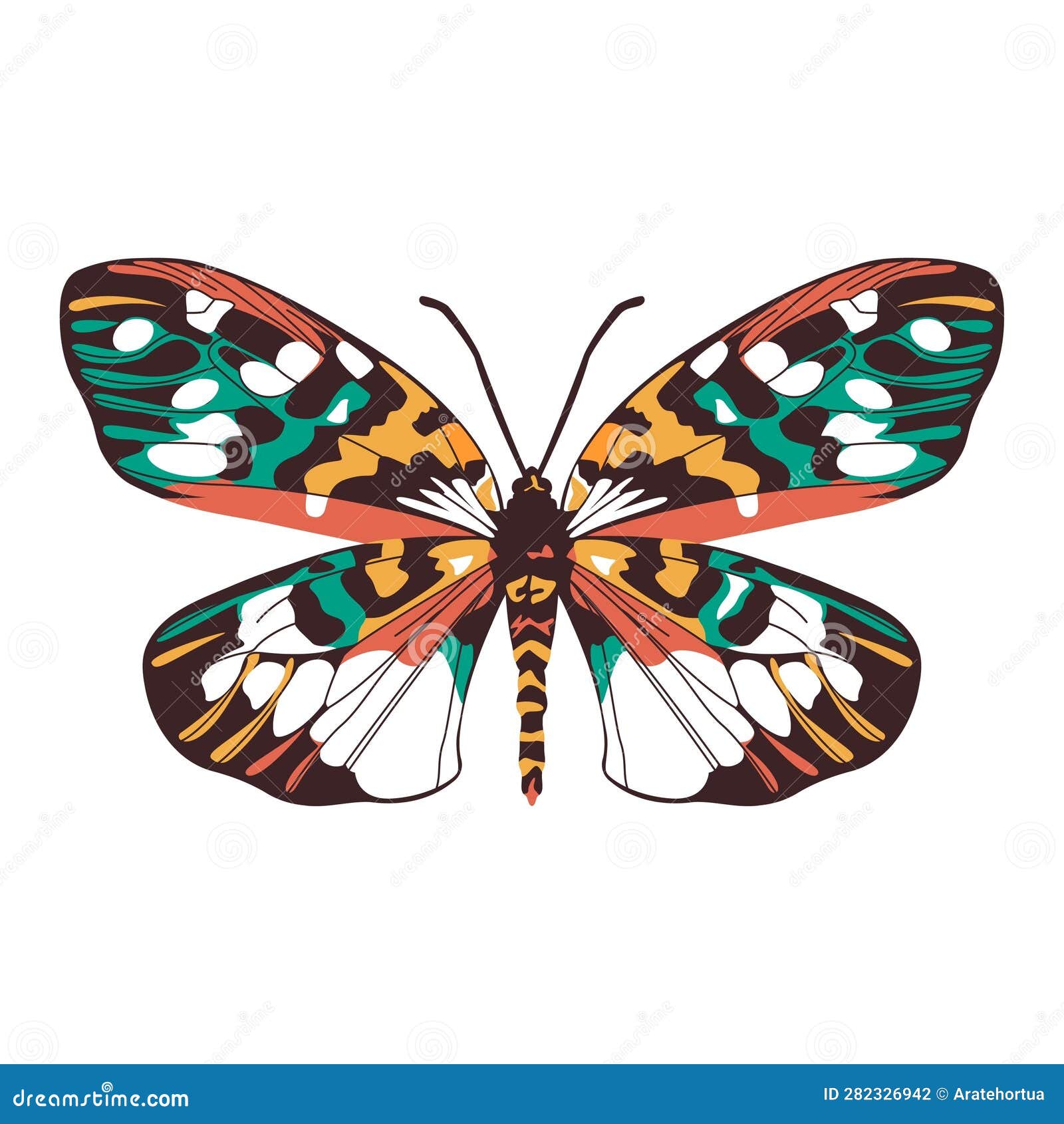Vector Beautiful Butterfly Cartoon Illustration Isolated Stock Vector ...