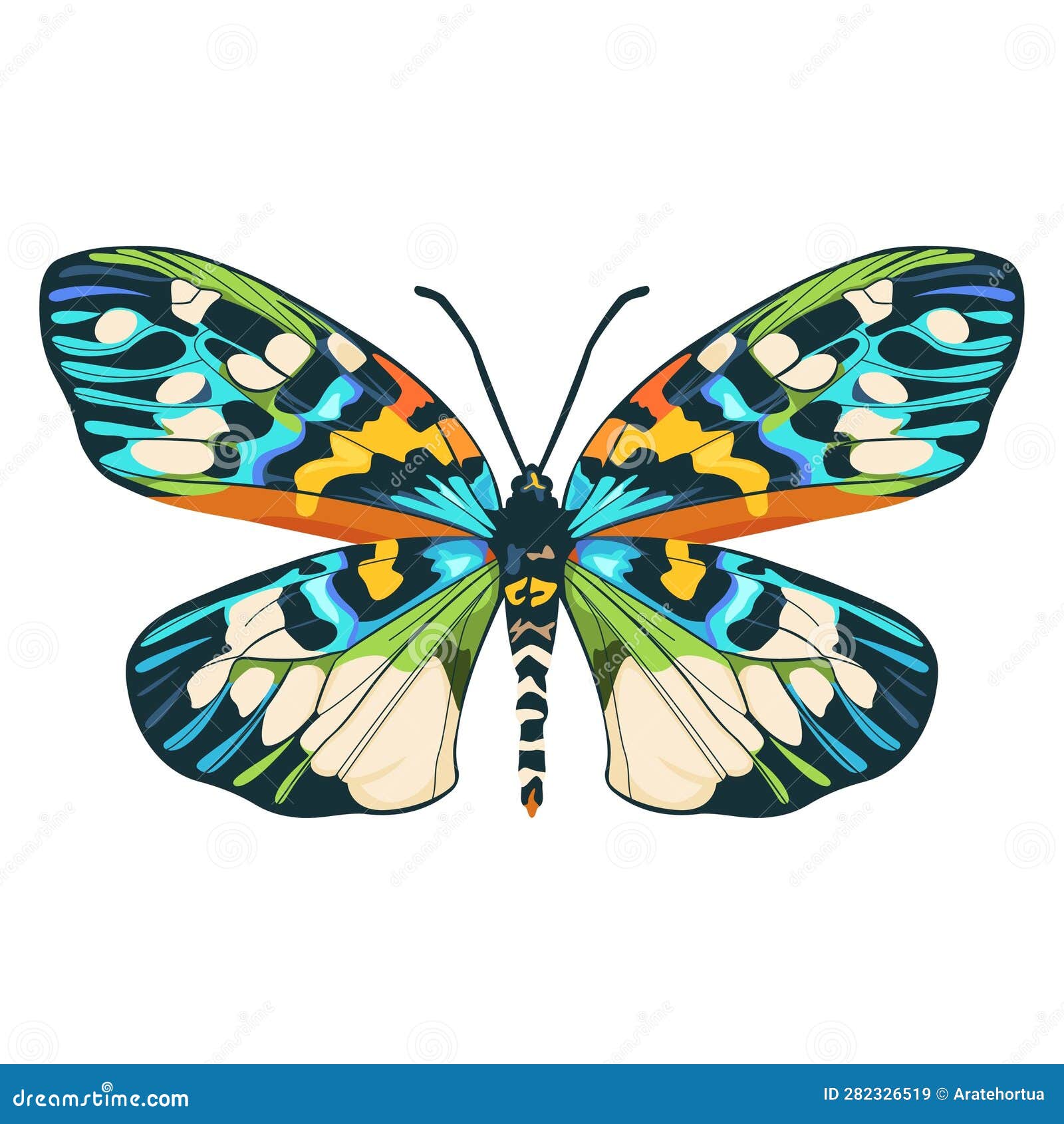 Vector Beautiful Butterfly Cartoon Illustration Isolated Stock Vector ...