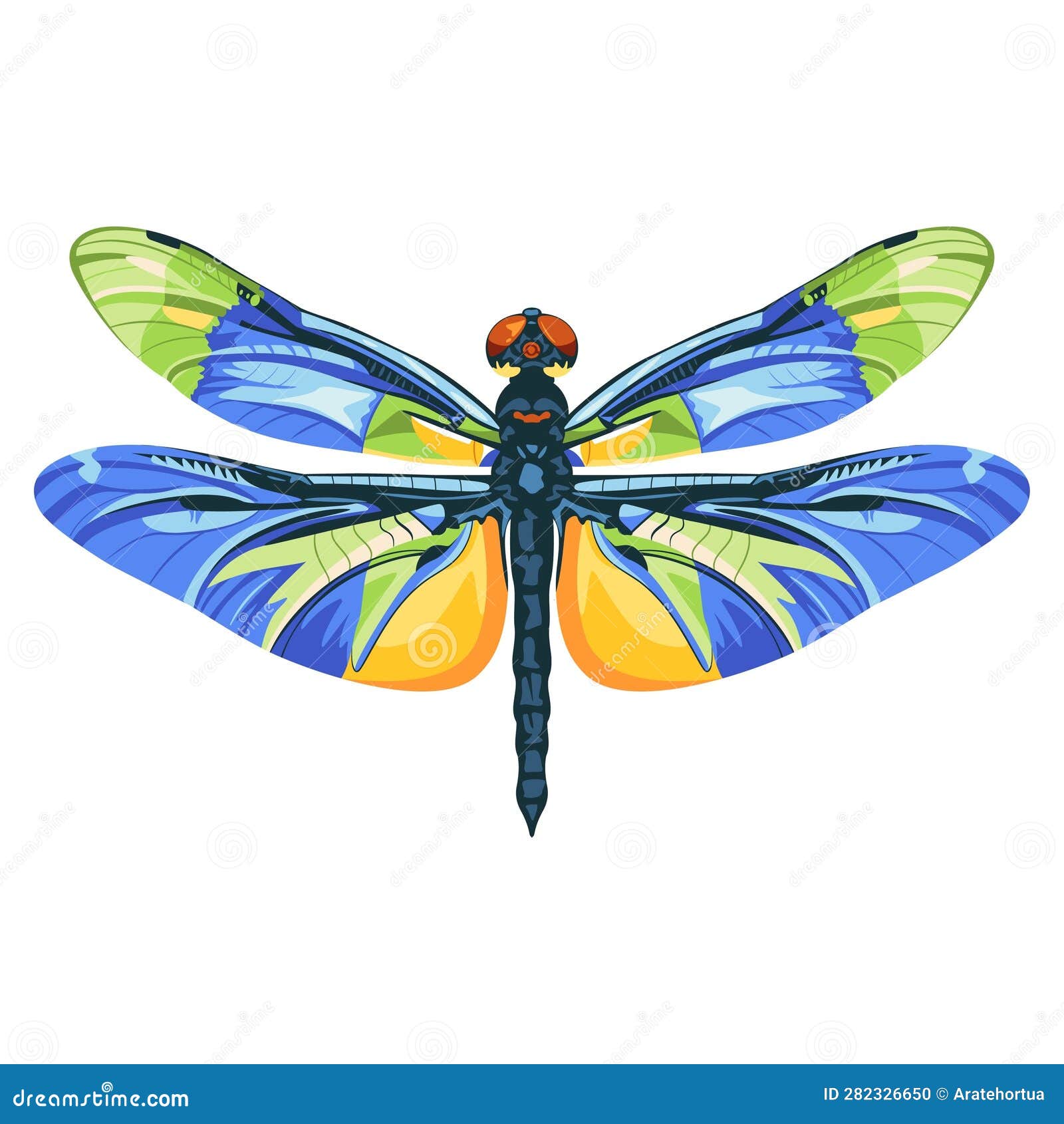 Vector Beautiful Dragonfly Cartoon Illustration Isolated Stock Vector ...