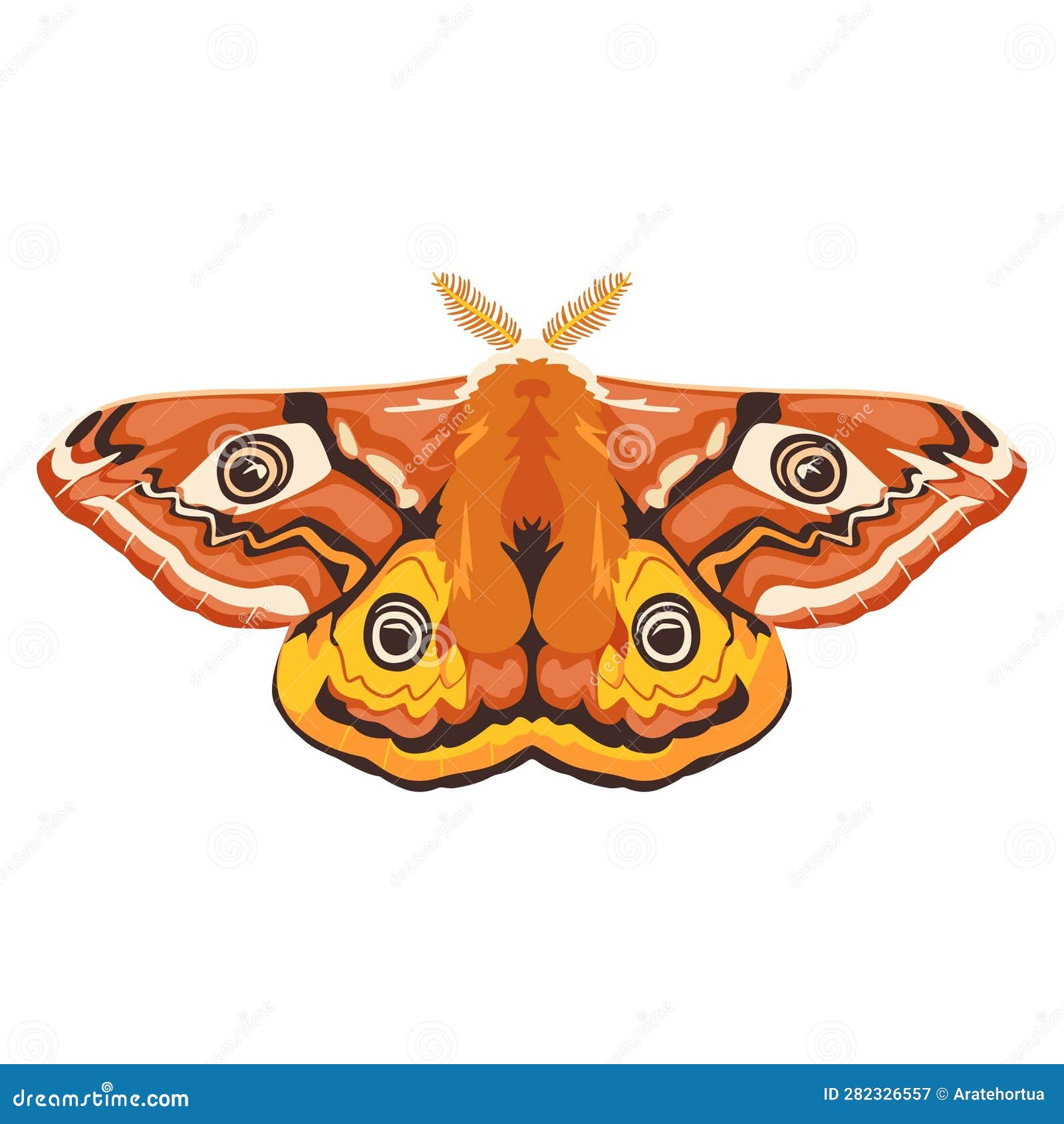 Moth Cartoon Clipart. Cute Polyphemus Moth (Antheraea Polyphemus ...