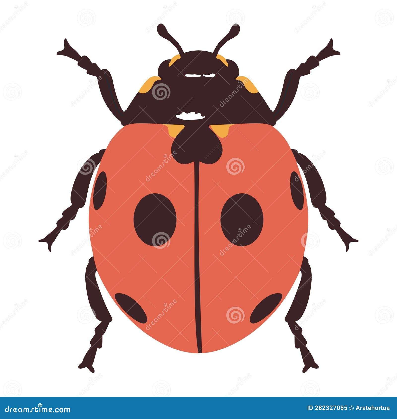 Vector Beautiful Ladybug Cartoon Illustration Isolated Stock ...