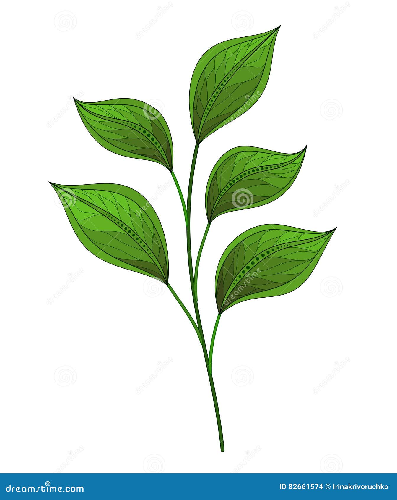 Vector Beautiful Leaf stock vector. Illustration of abstract - 82661574