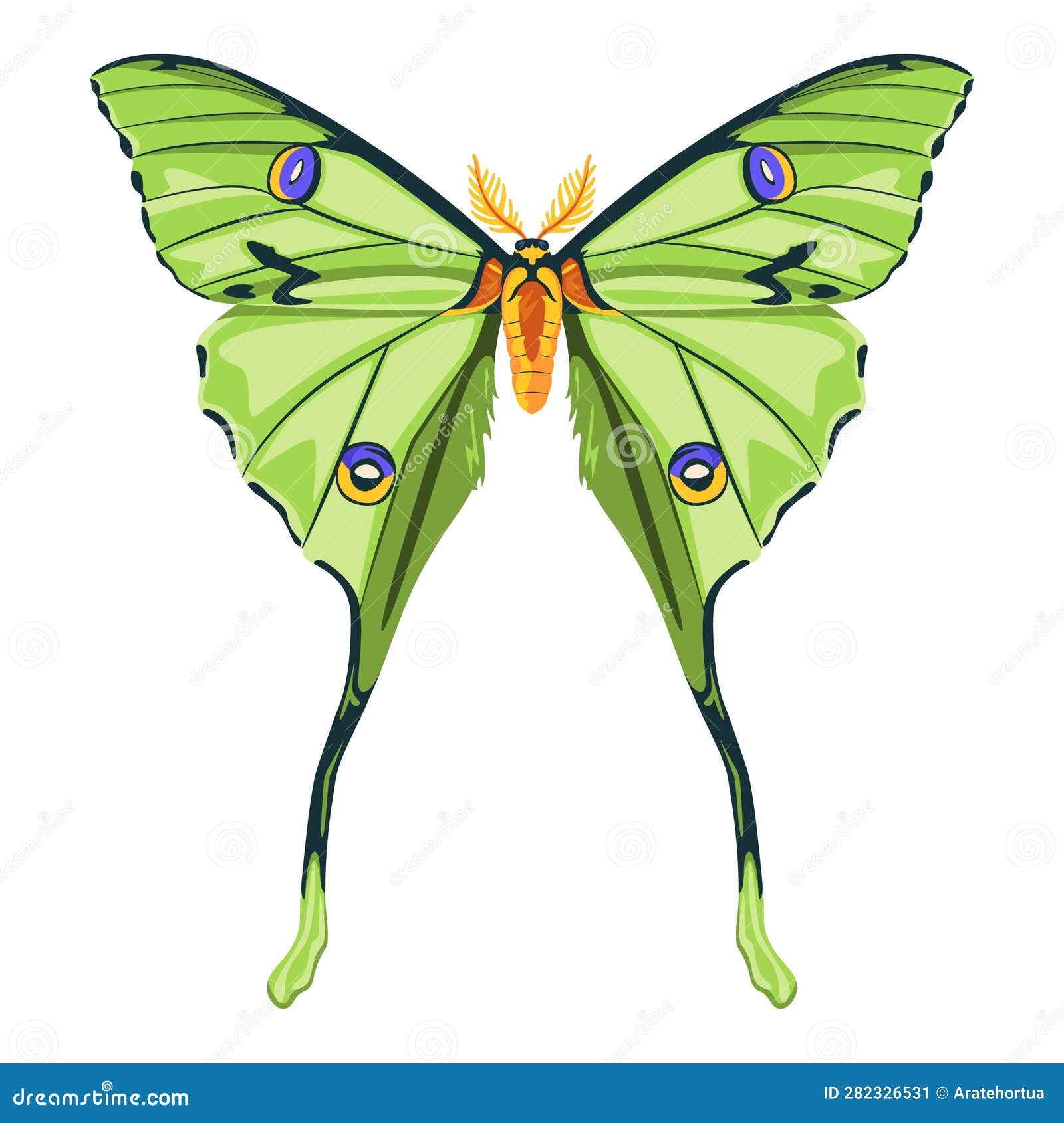 Moth Cartoon Clipart. Cute Polyphemus Moth (Antheraea Polyphemus ...