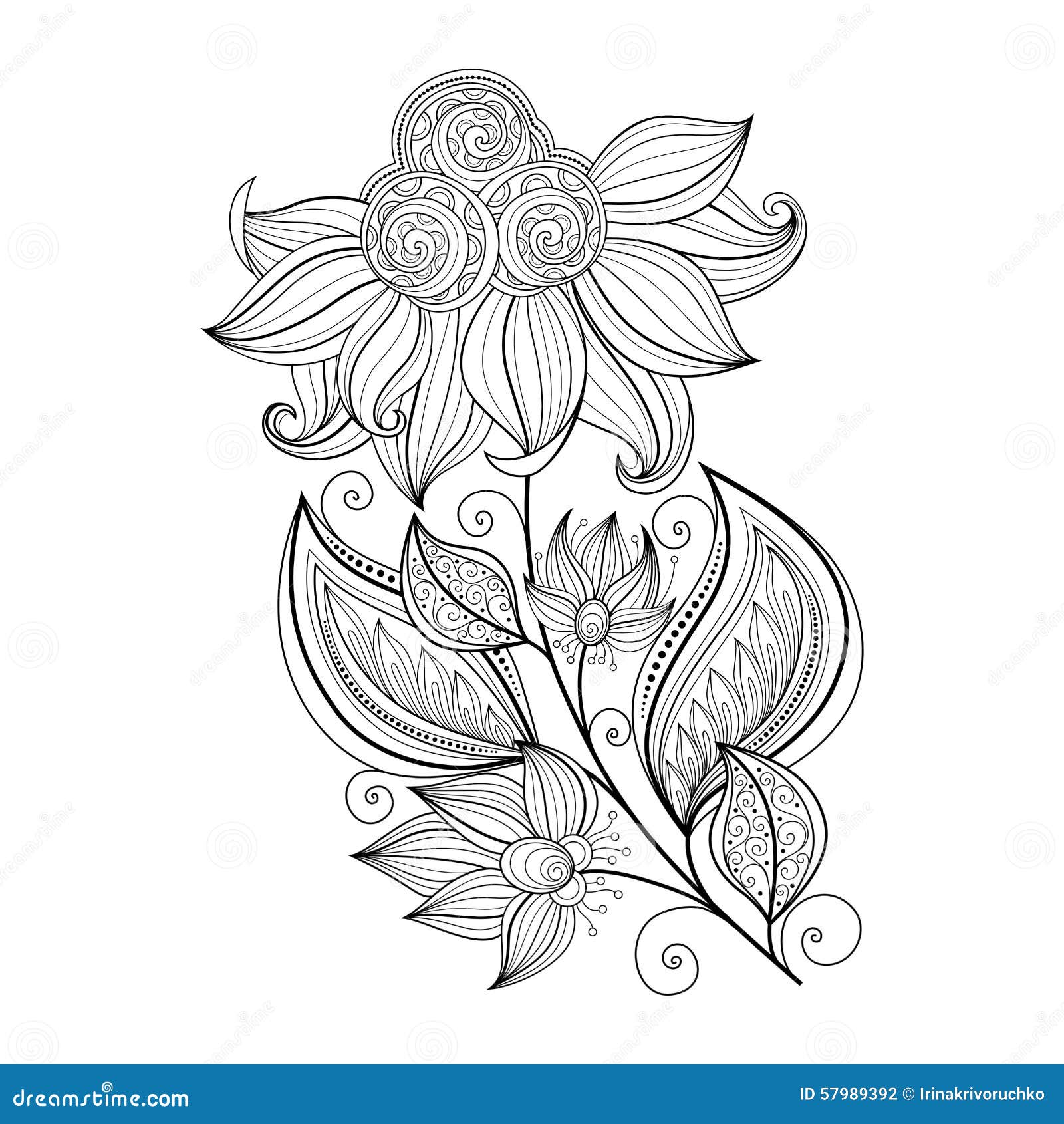 Vector Beautiful Monochrome Contour Flower Stock Vector - Illustration ...