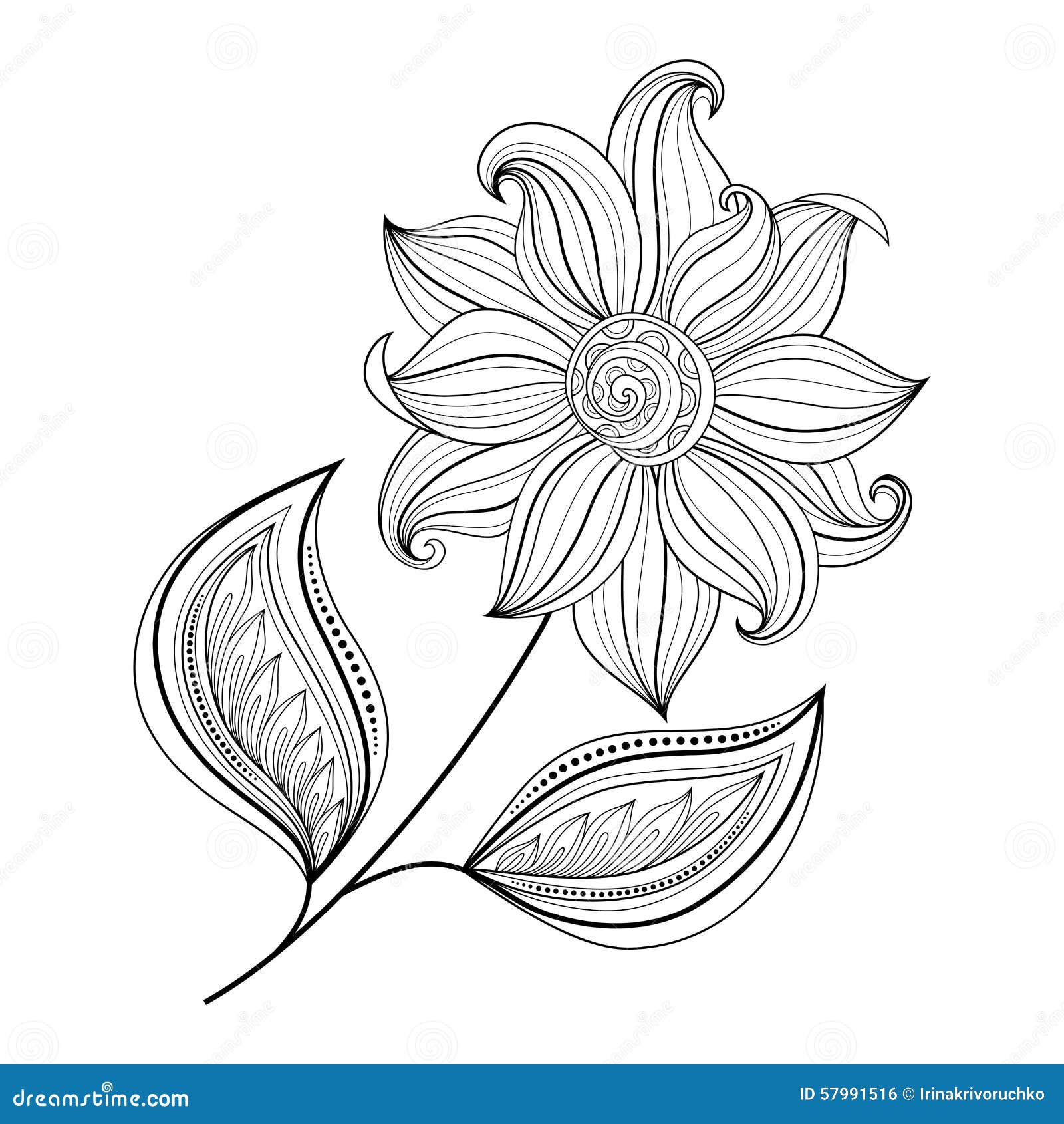 Vector Beautiful Monochrome Contour Flower Stock Vector - Illustration ...