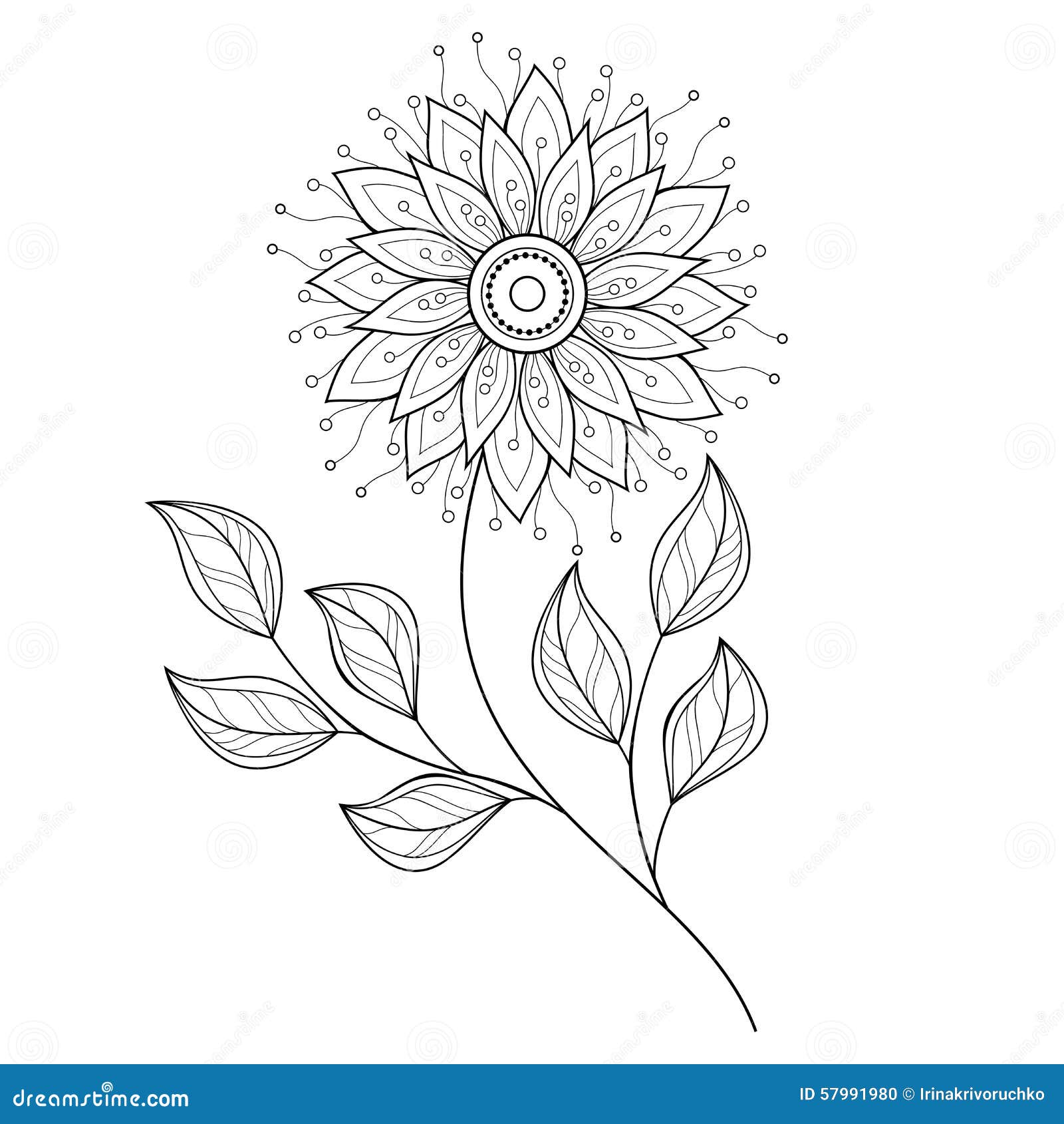 Vector Beautiful Monochrome Contour Flower Stock Vector - Illustration ...