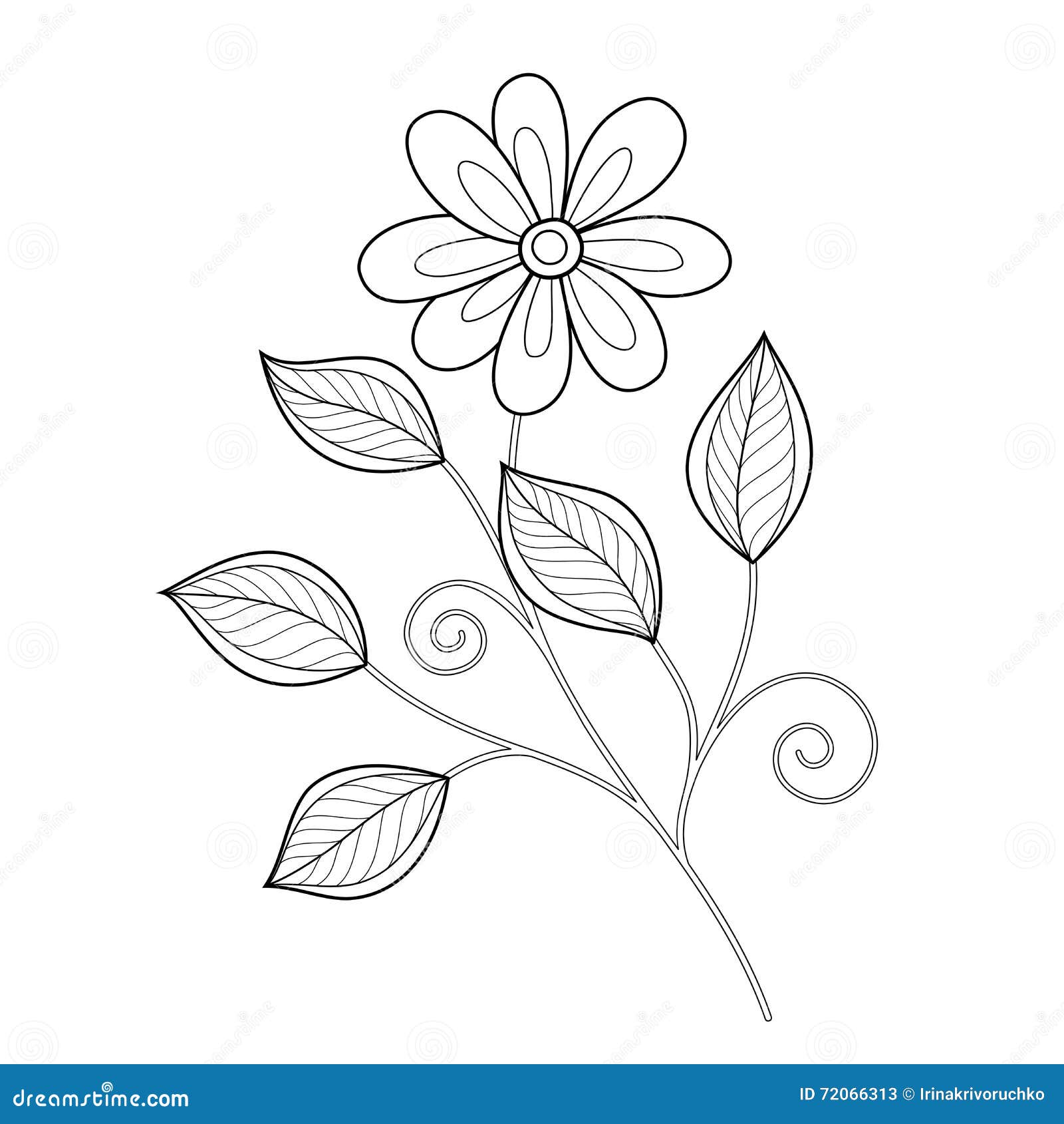 Vector Beautiful Monochrome Contour Flower Stock Vector - Illustration ...