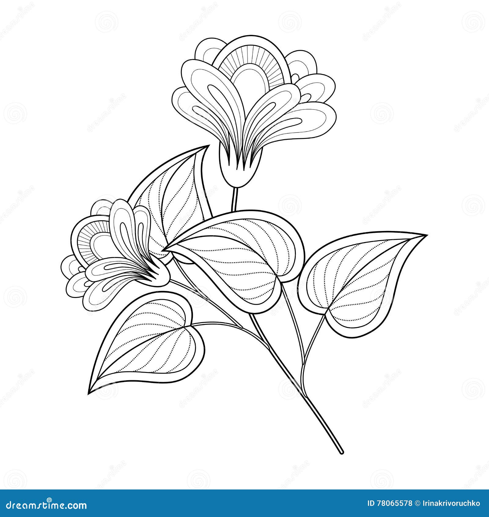 Vector Beautiful Monochrome Contour Flower Stock Vector - Illustration ...
