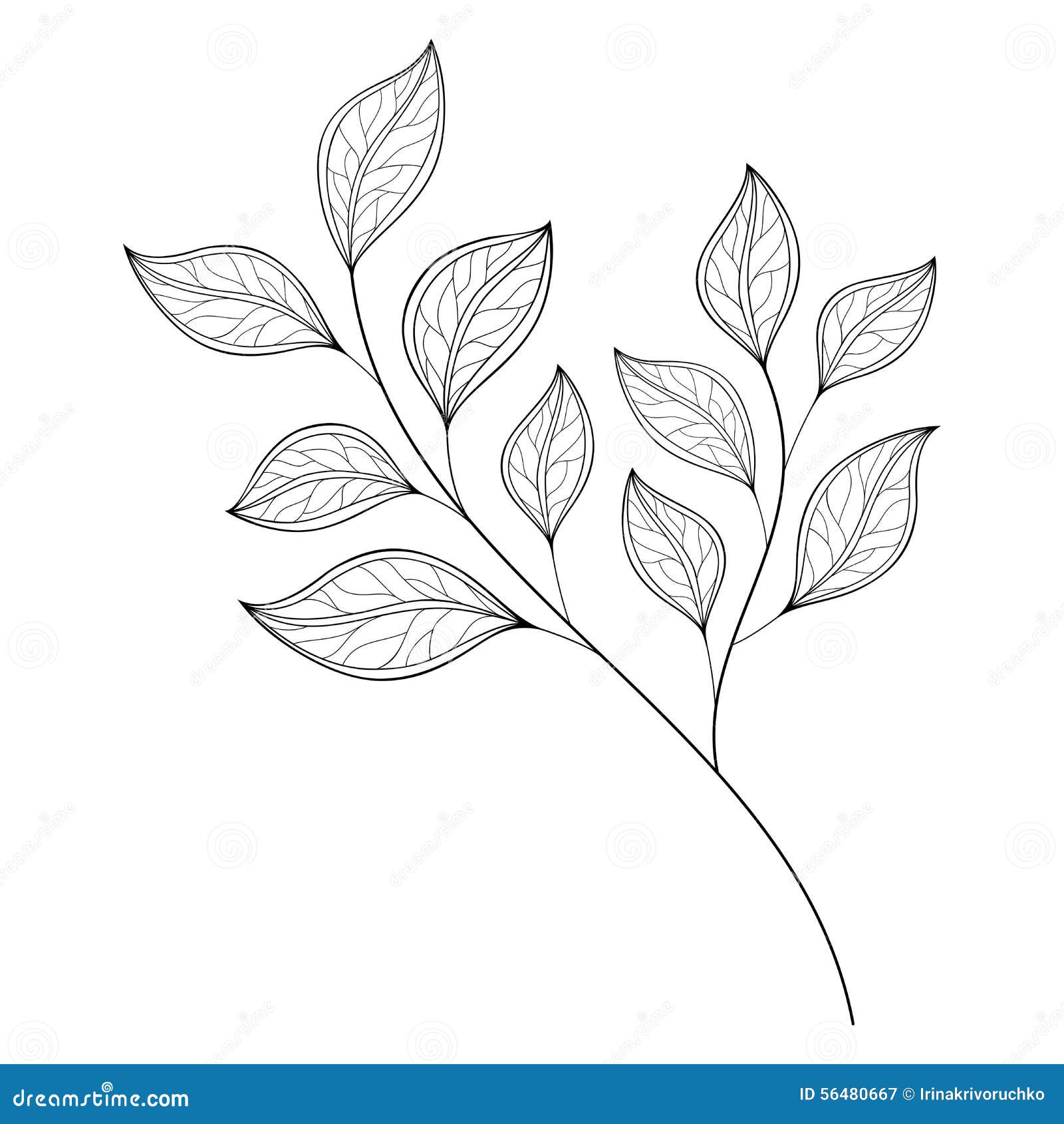 Vector Beautiful Monochrome Contour Leaf Stock Vector - Illustration of ...