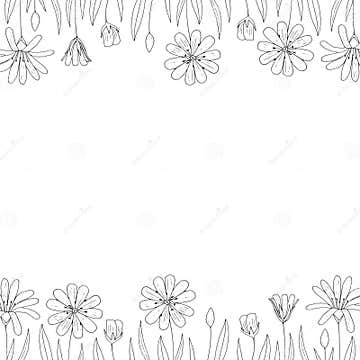 Vector Outline Floral Border. Floral Frame Stock Vector - Illustration ...