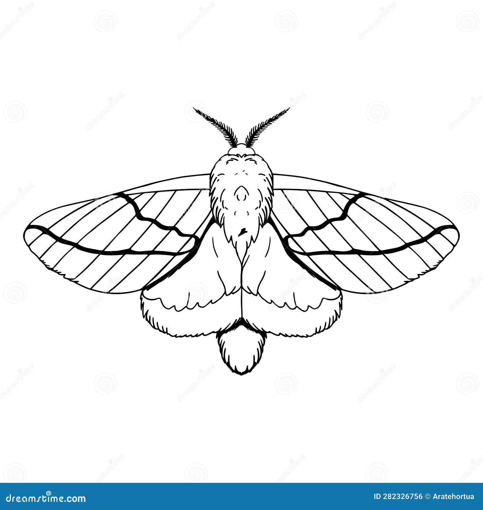 Moth Cartoon Clipart. Cute Polyphemus Moth (Antheraea Polyphemus ...