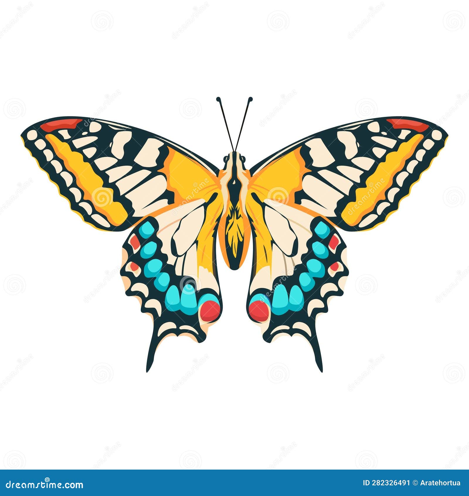 Vector Beautiful Swallowtail Butterfly Cartoon Illustration Isolated ...