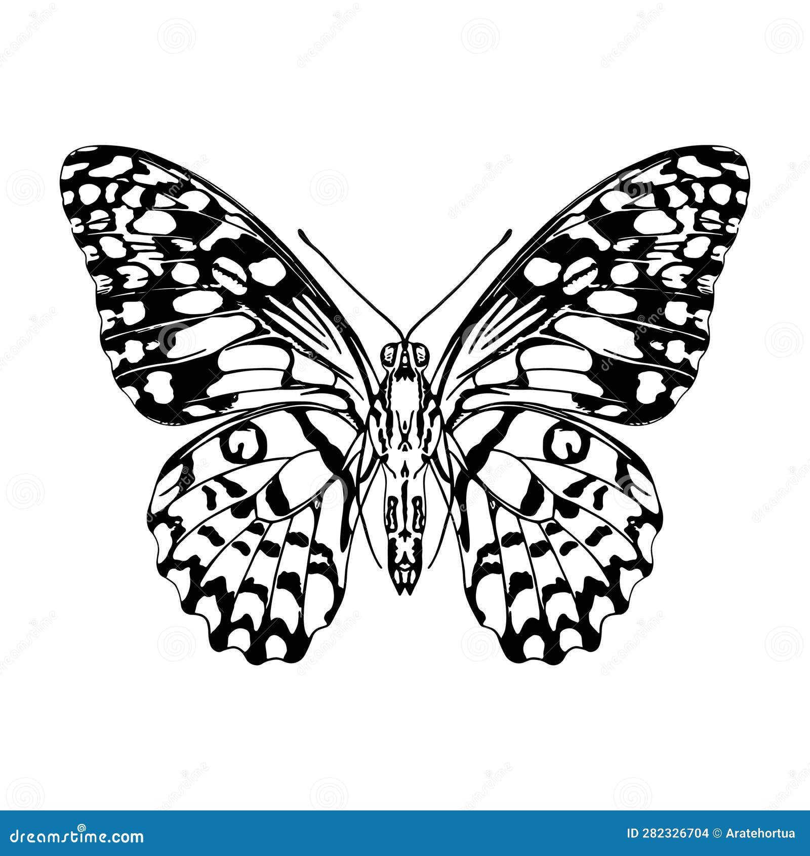 Beautiful Swallowtail Butterfly Vector Illustration Isolated On White ...