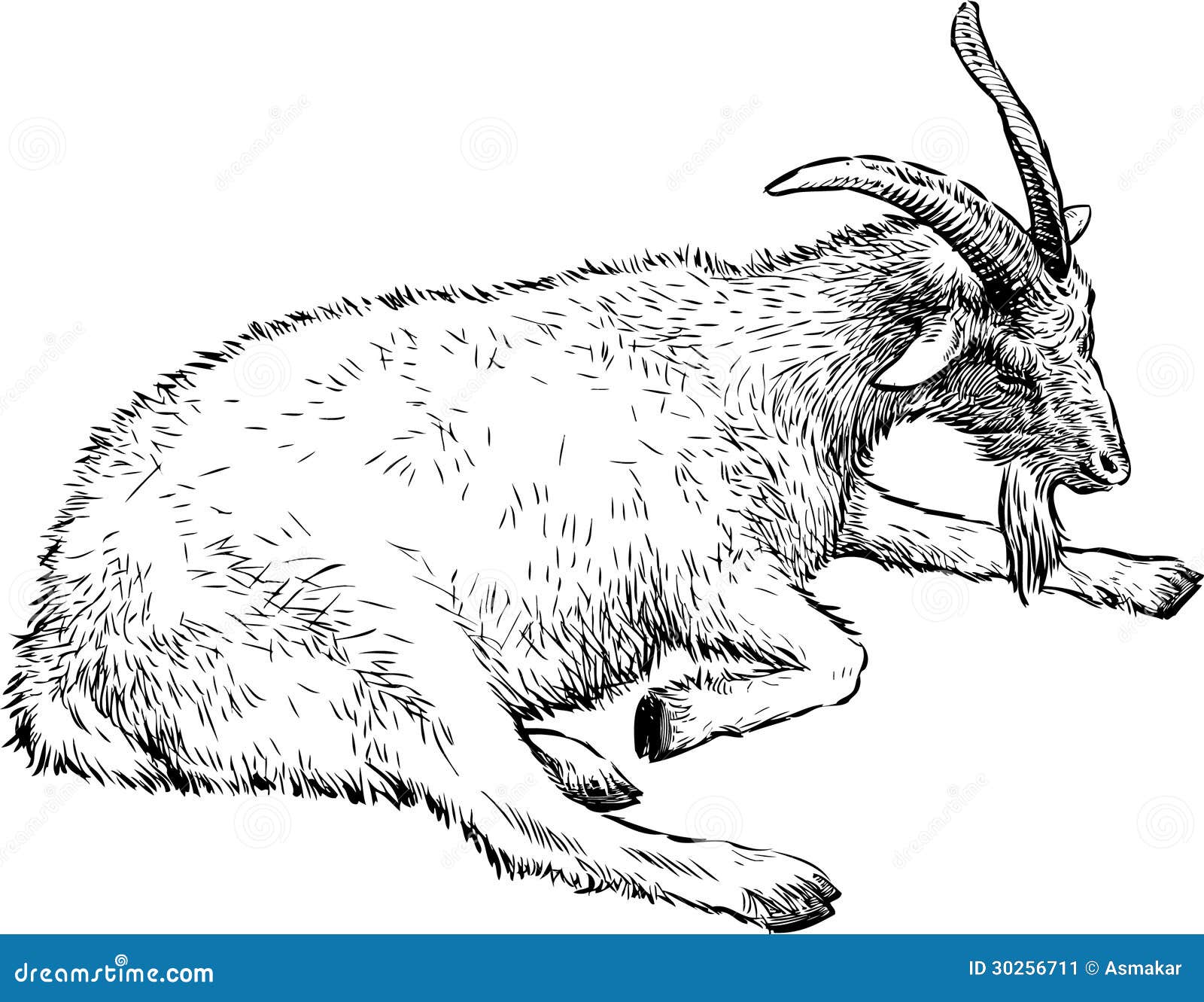 Het liggen geit vector illustratie. Illustration of leugen - 30256711