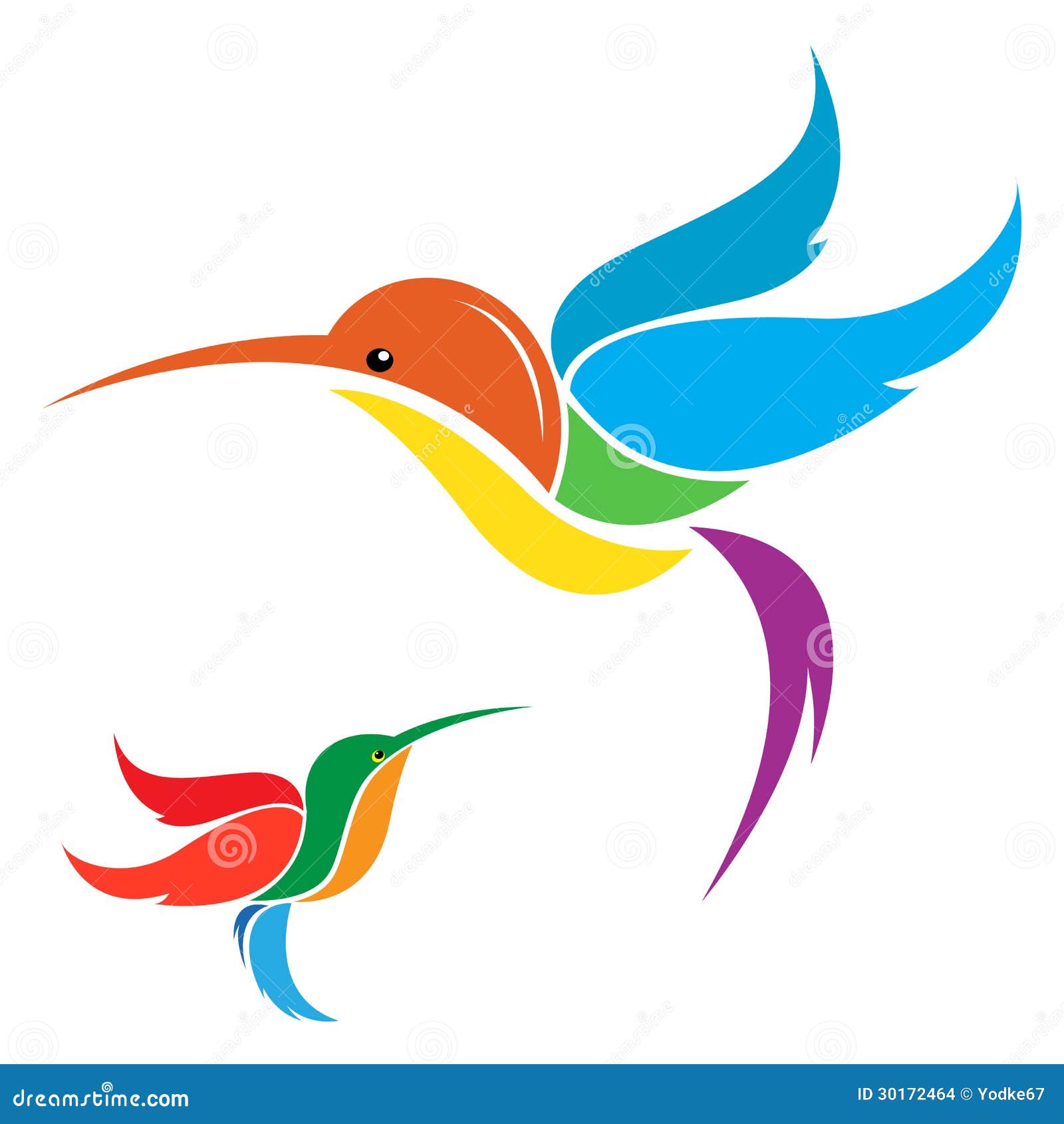 Vector Beeld Van Een Kolibrie Vector Illustratie - Illustration of ...