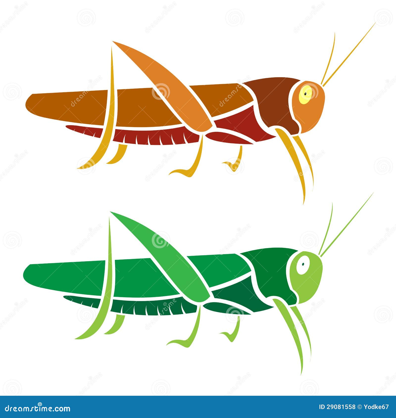 Vector Beeld Van Een Sprinkhaan Vector Illustratie - Illustration of ...