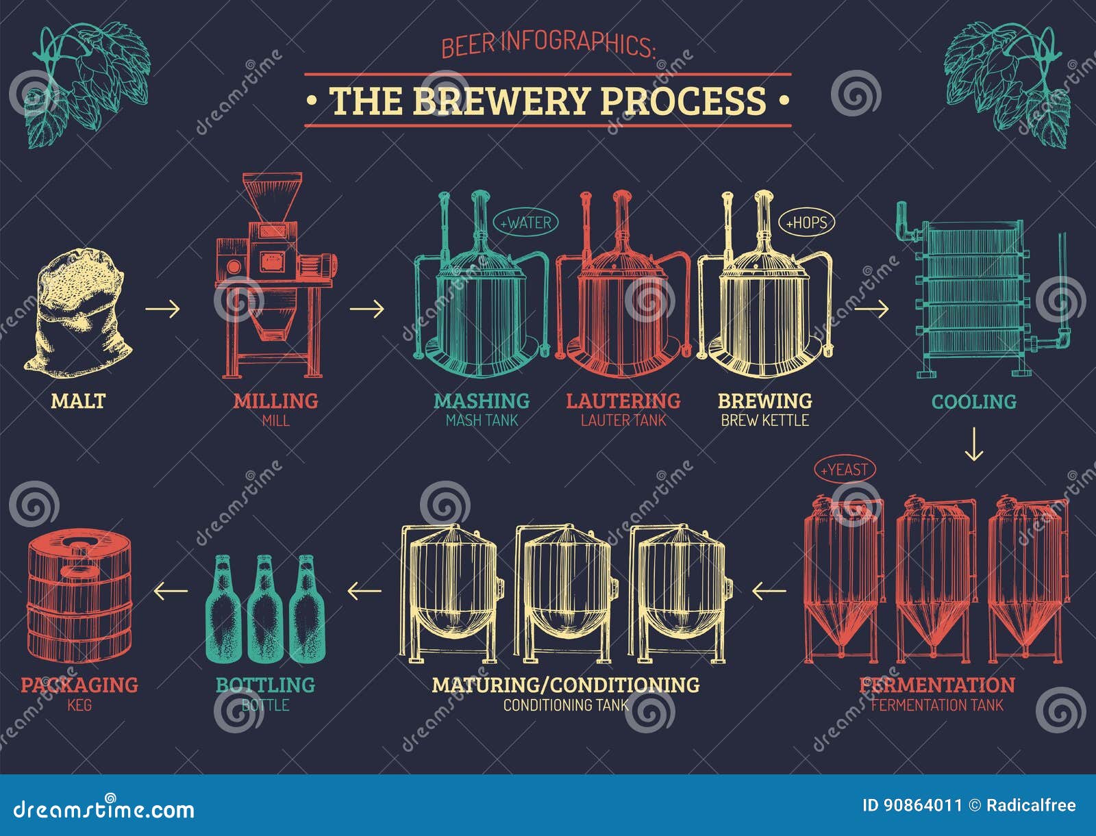 Vector Beer Infographics with Illustrations of Brewery Process.Sketched ...