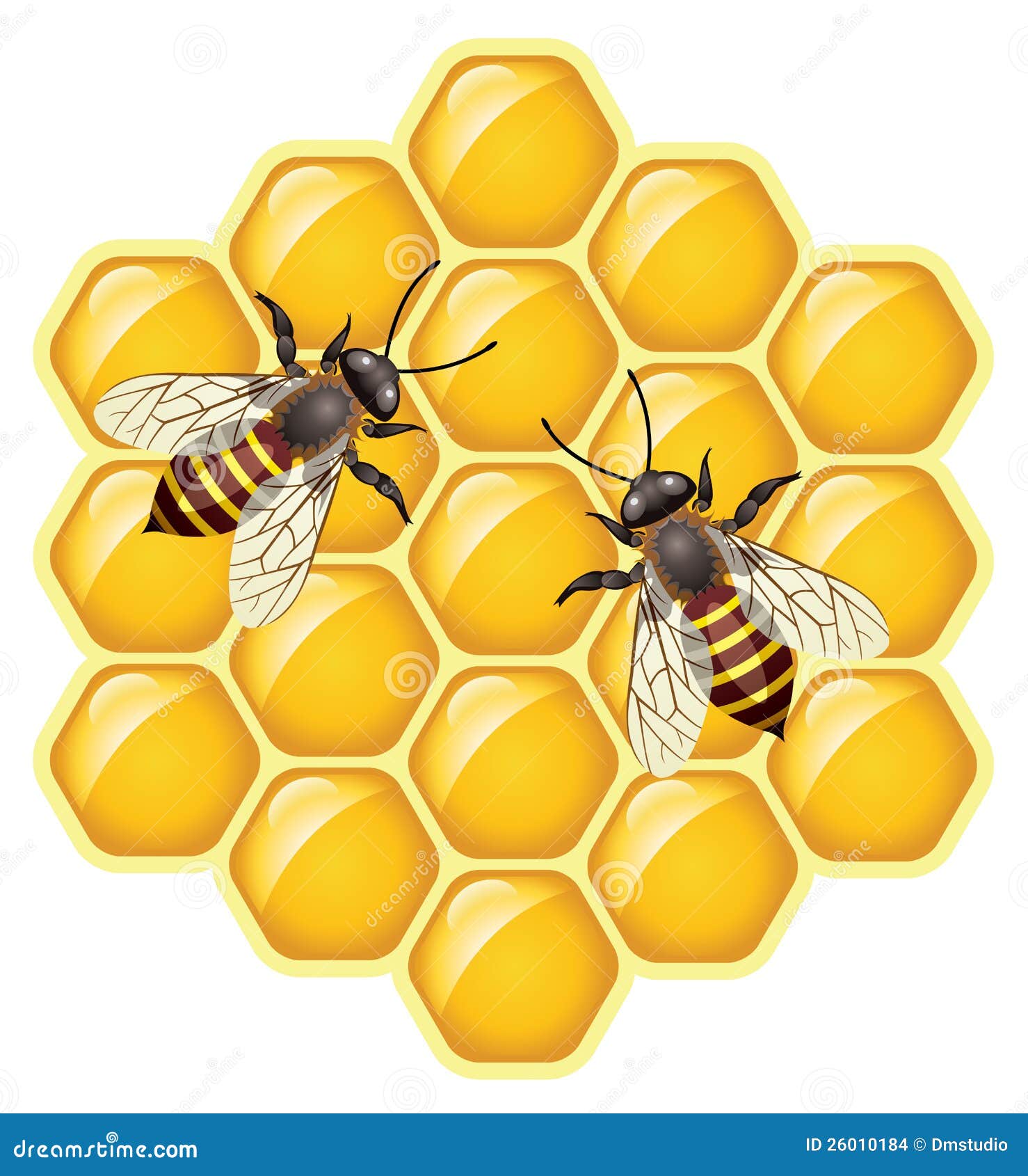 Vector bees on honeycells stock vector. Illustration of food - 26010184