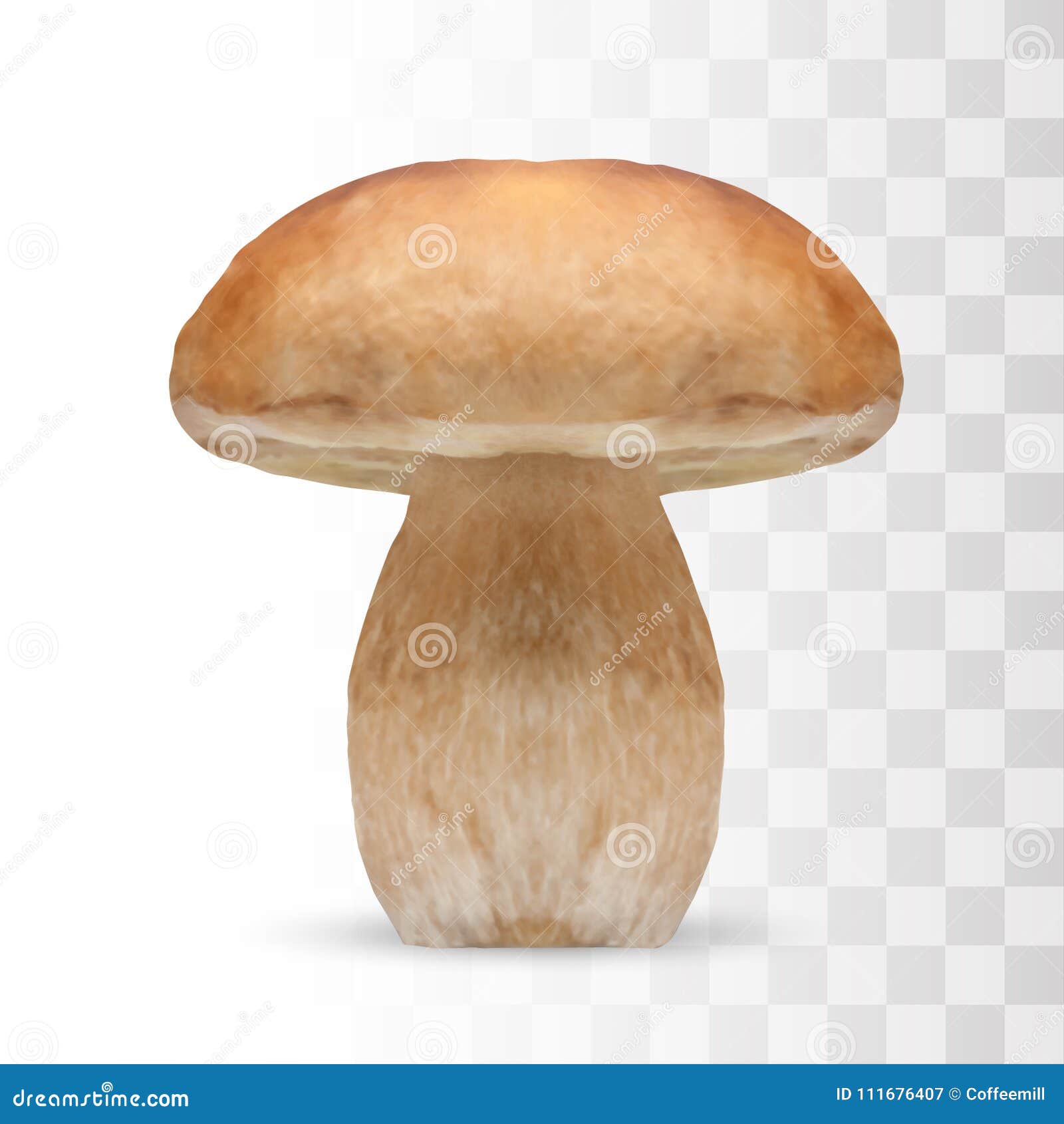 Vector big cep isolated stock vector. Illustration of shadow - 111676407