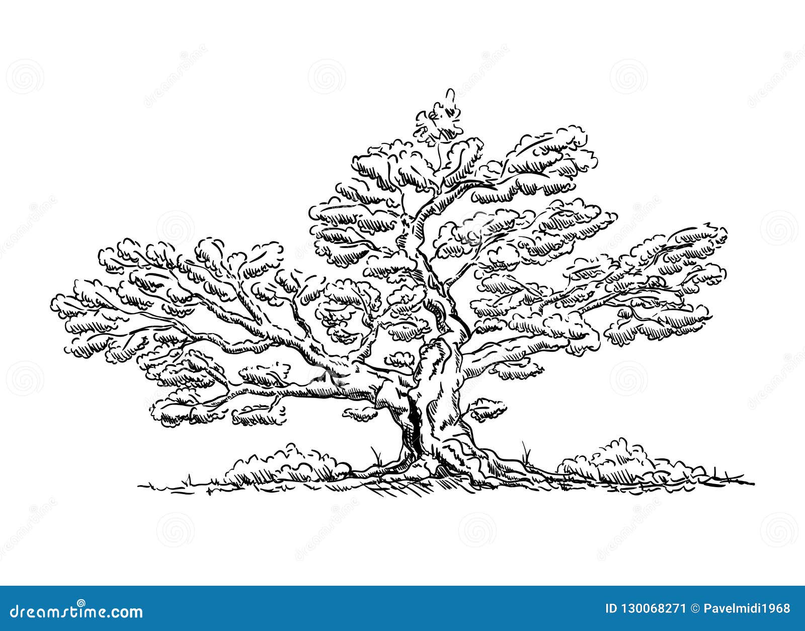 Big old tree stock vector. Illustration of graphic, dead - 130068271