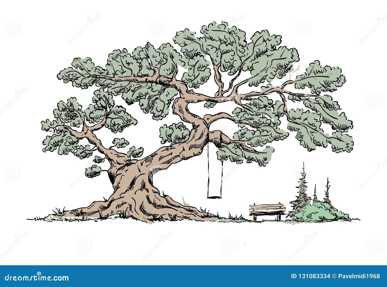 Big Old Tree Drawing