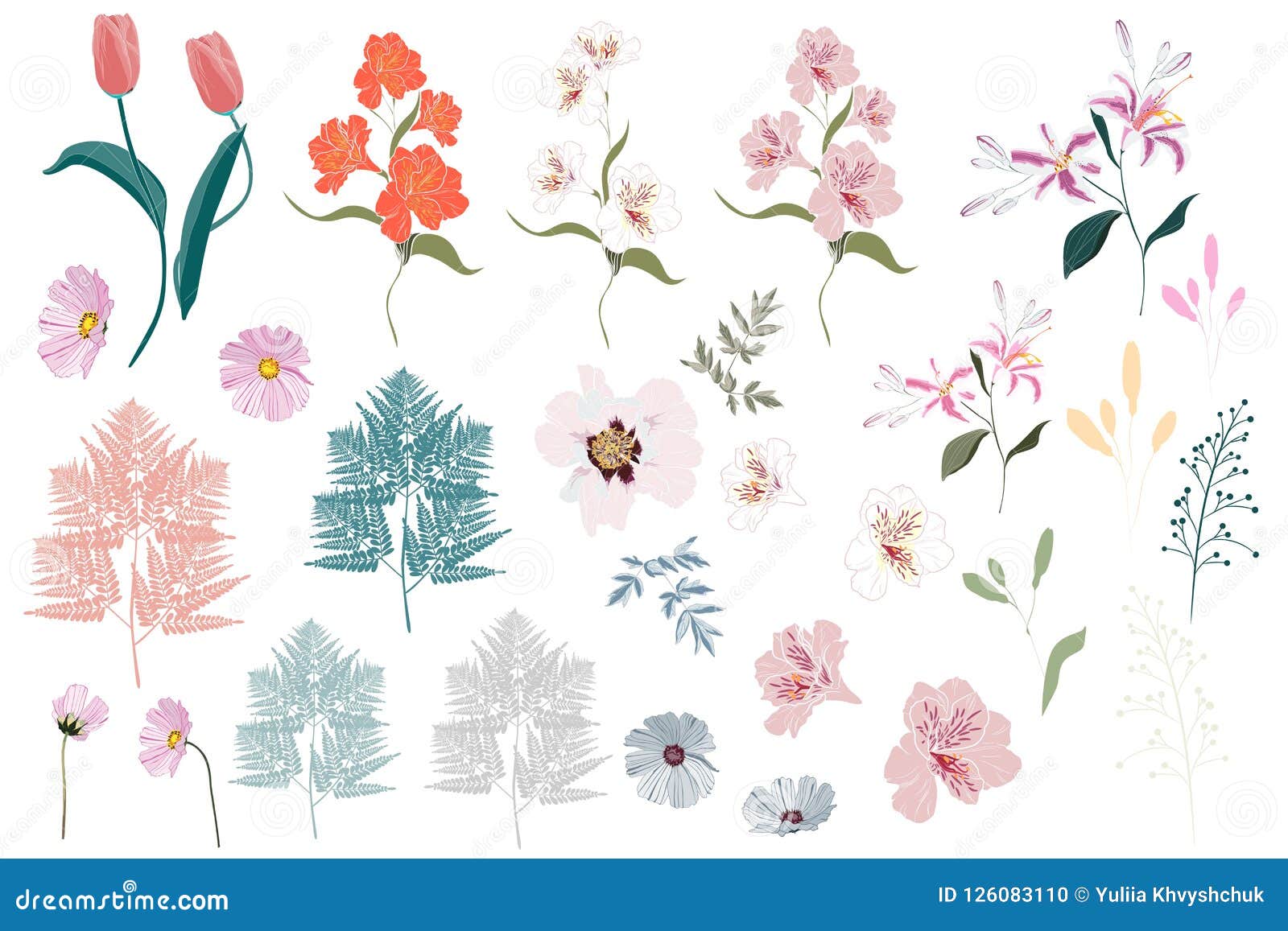 Vector Botanic Illustrations. Botanical Clipart. | CartoonDealer.com ...