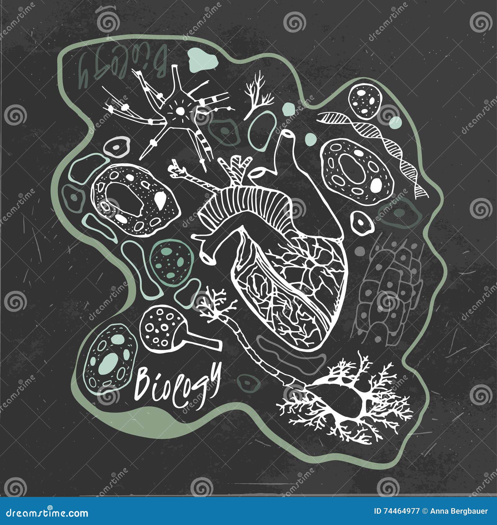 Vector Biology Doodles stock vector. Illustration of classroom - 74464977