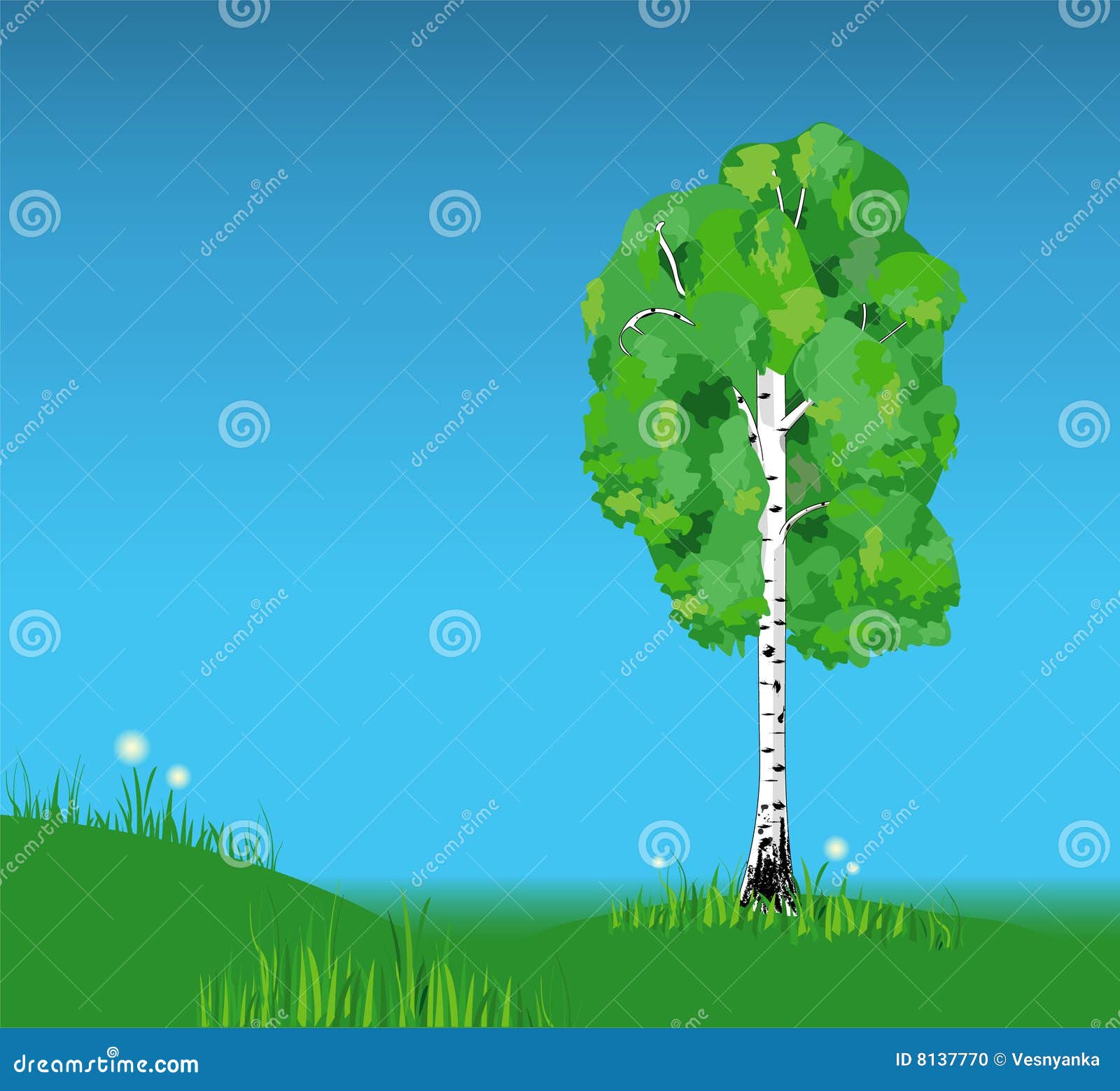Vector birch stock vector. Illustration of elegance, light - 8137770