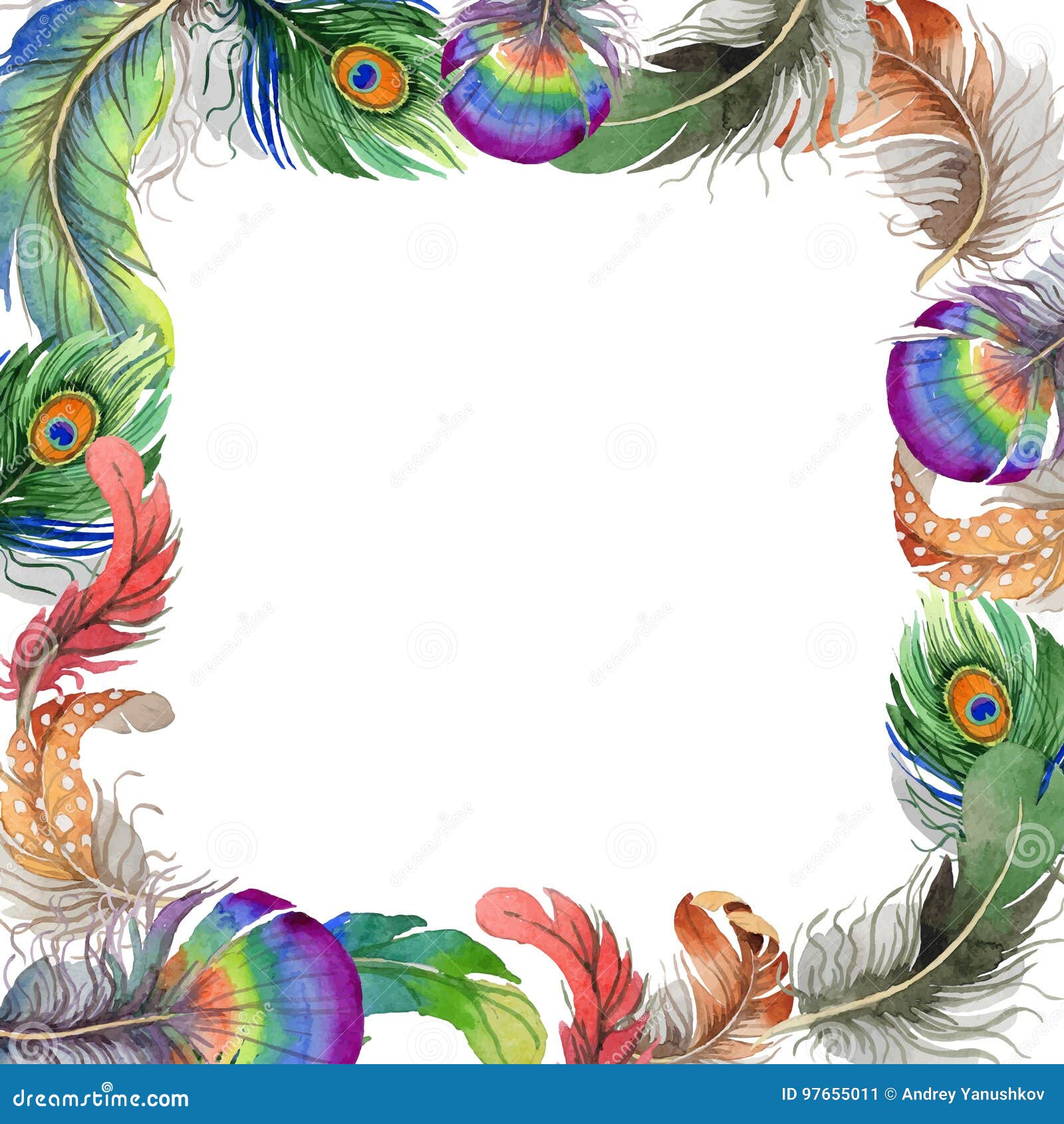 Vector Bird Feather Frame from Wing. Stock Vector - Illustration of ...