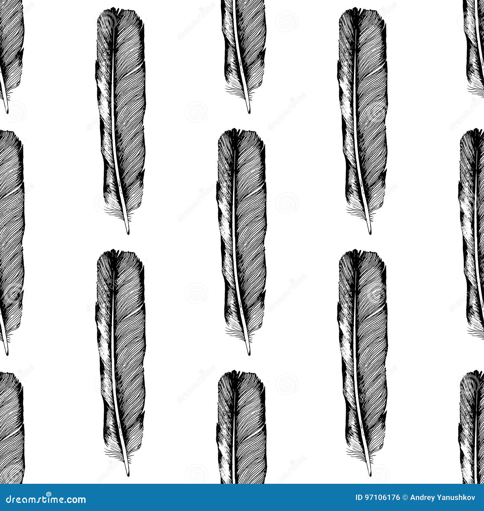 Vector Bird Feather Pattern from Wing. Stock Vector - Illustration of ...