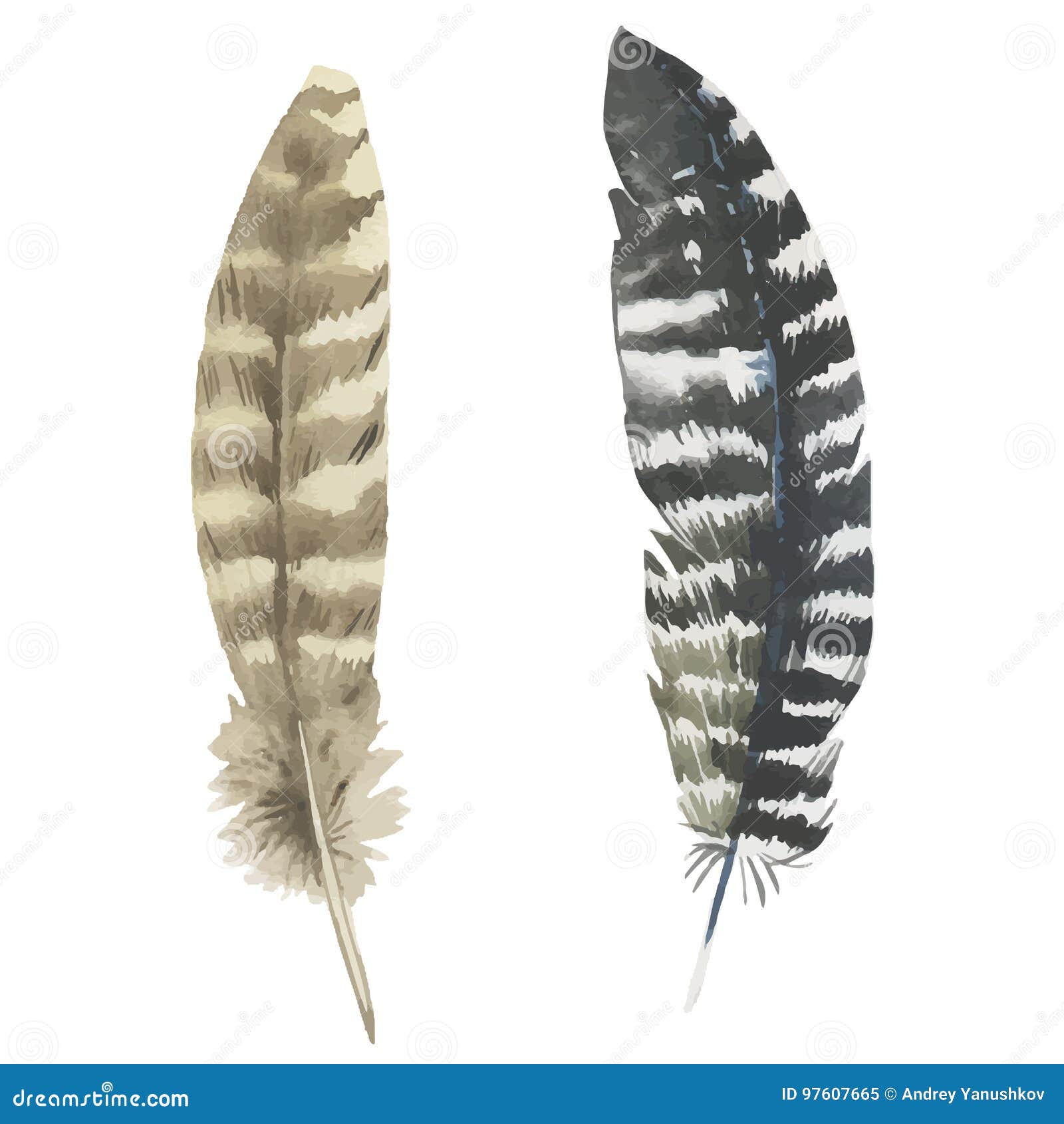 Vector Bird Feather from Wing Isolated. Stock Vector - Illustration of ...