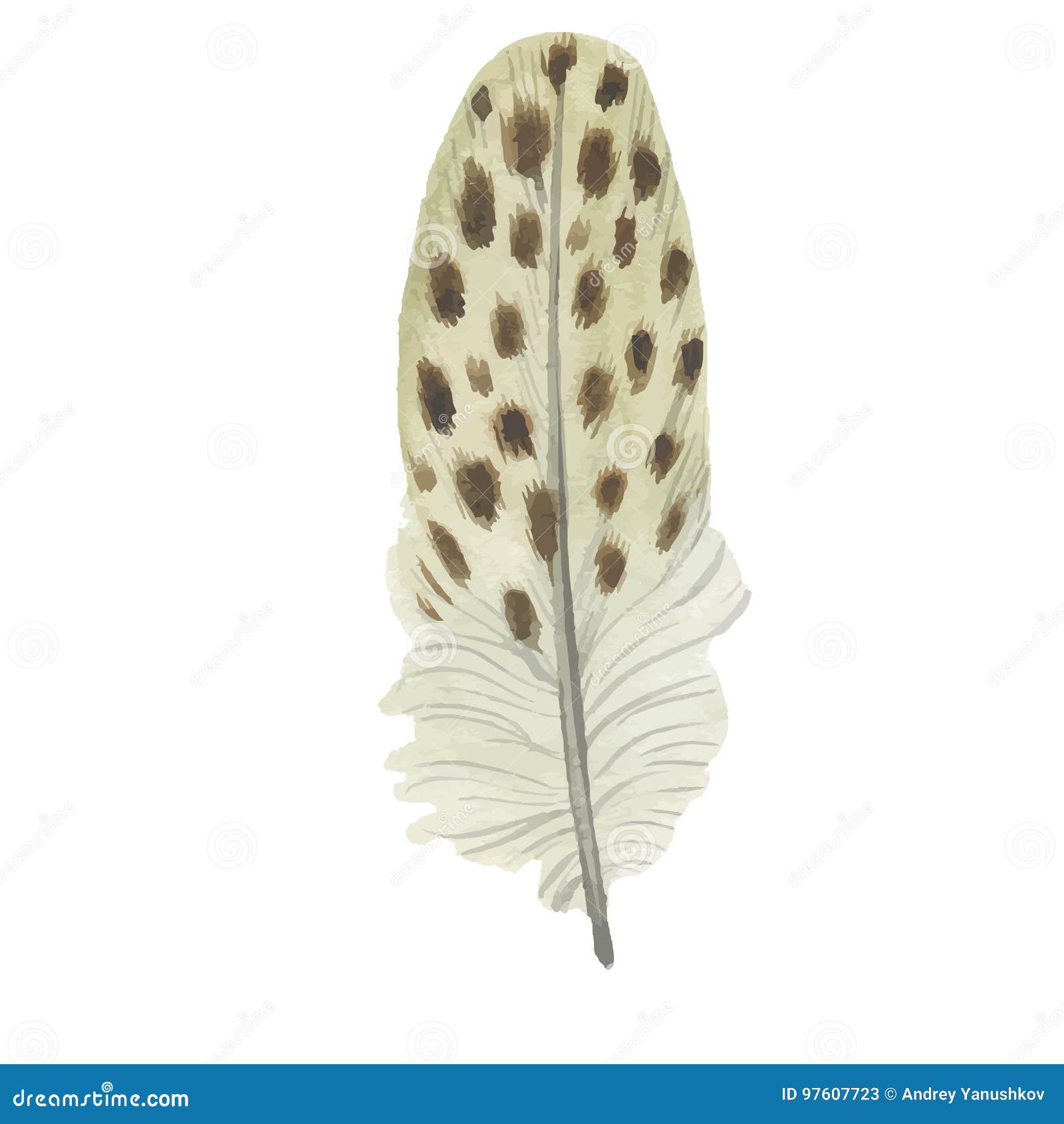 Vector Bird Feather from Wing Isolated. Stock Vector - Illustration of ...