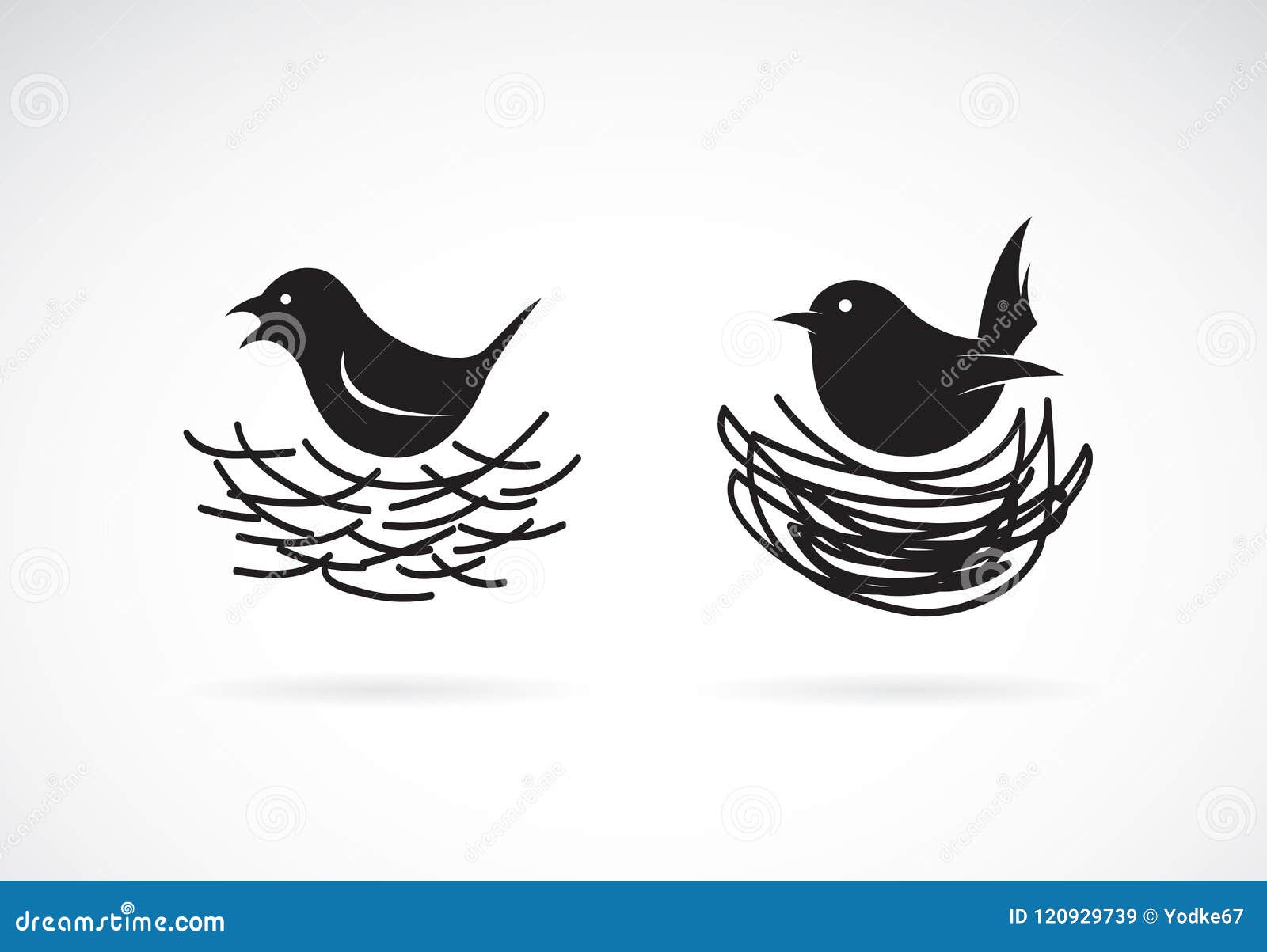 Vector Of Bird And Nests On White Background. Wild Animals ...