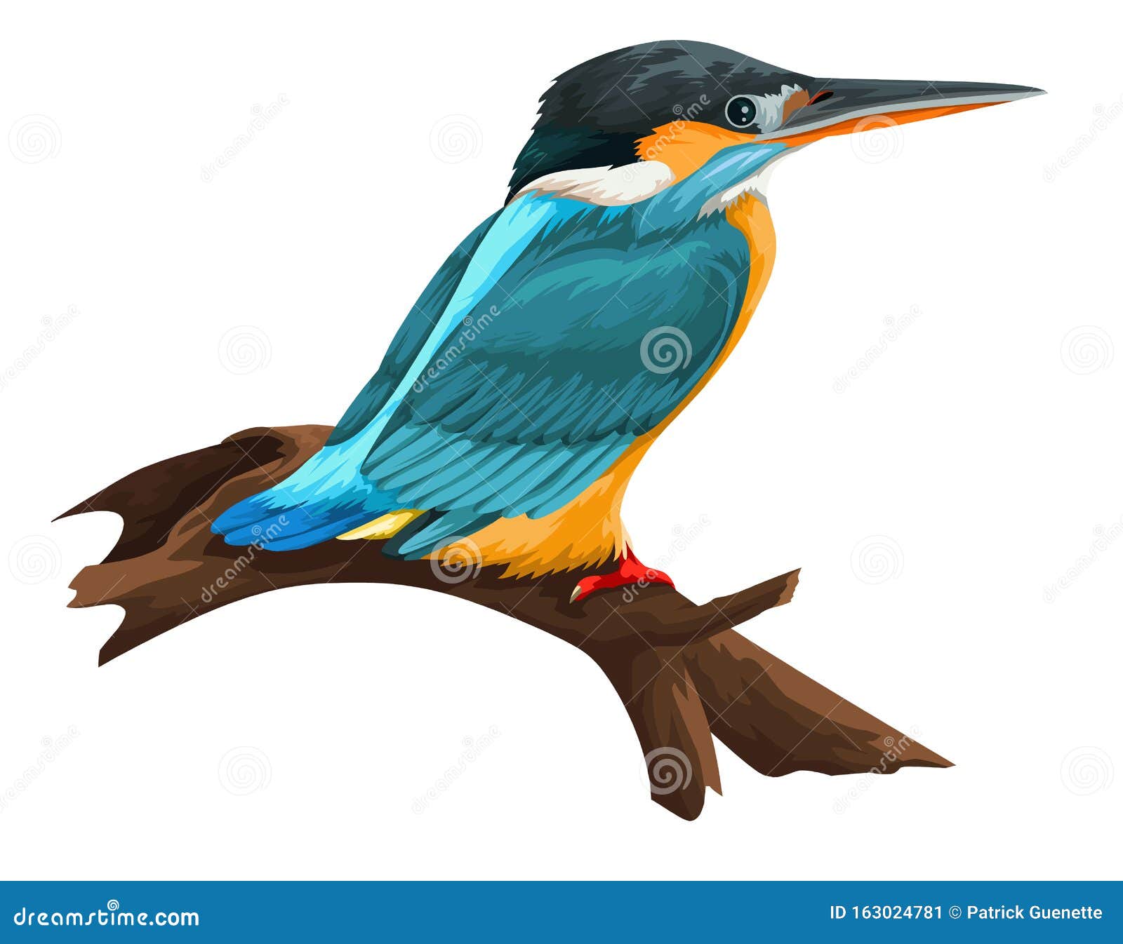 Vector of Bird Perching on Branch Stock Vector - Illustration of ...
