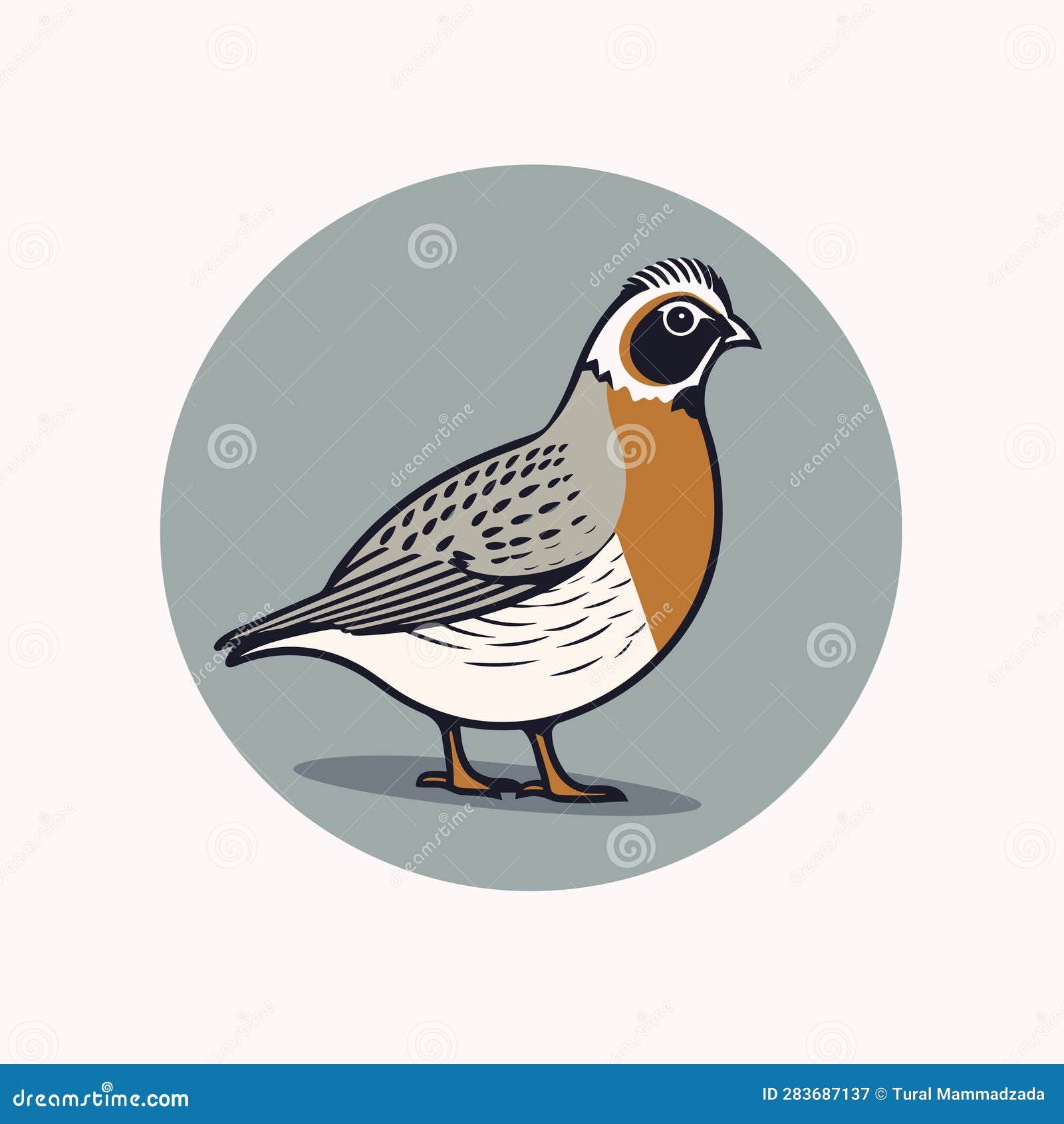 Vector of a Bird Standing in the Center of a Circular Shape Stock ...